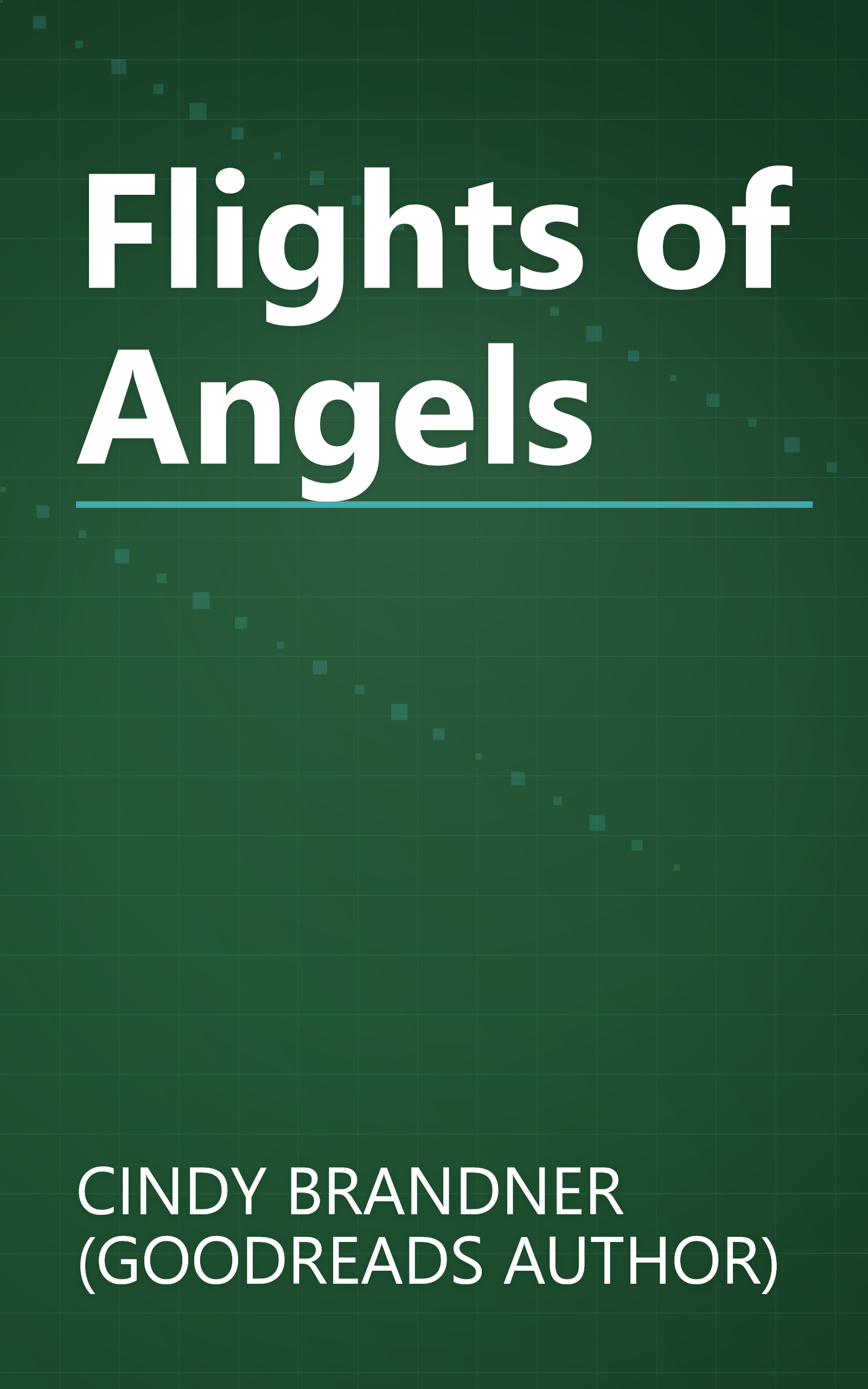 Flights of Angels book cover