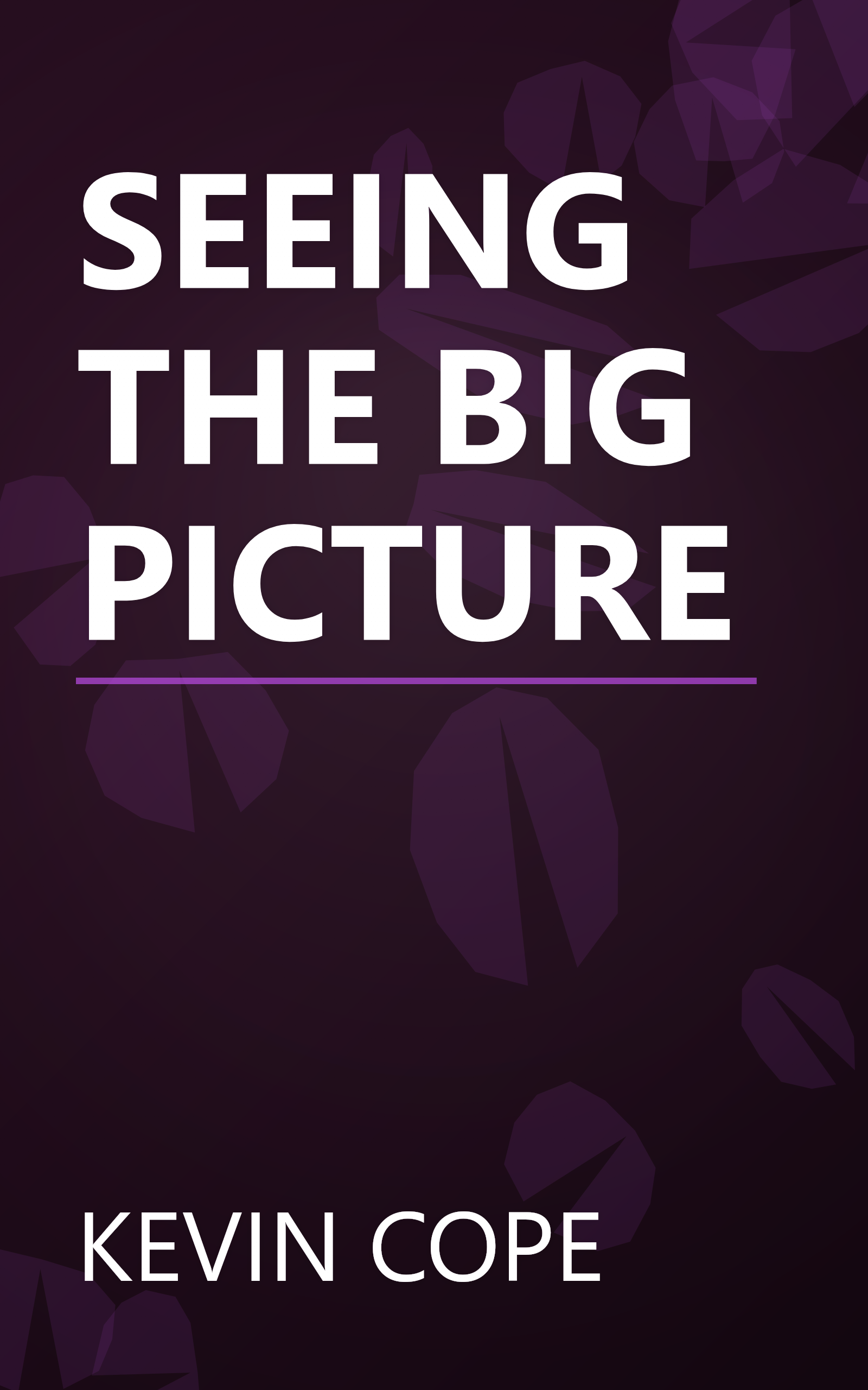 SEEING THE BIG PICTURE book cover
