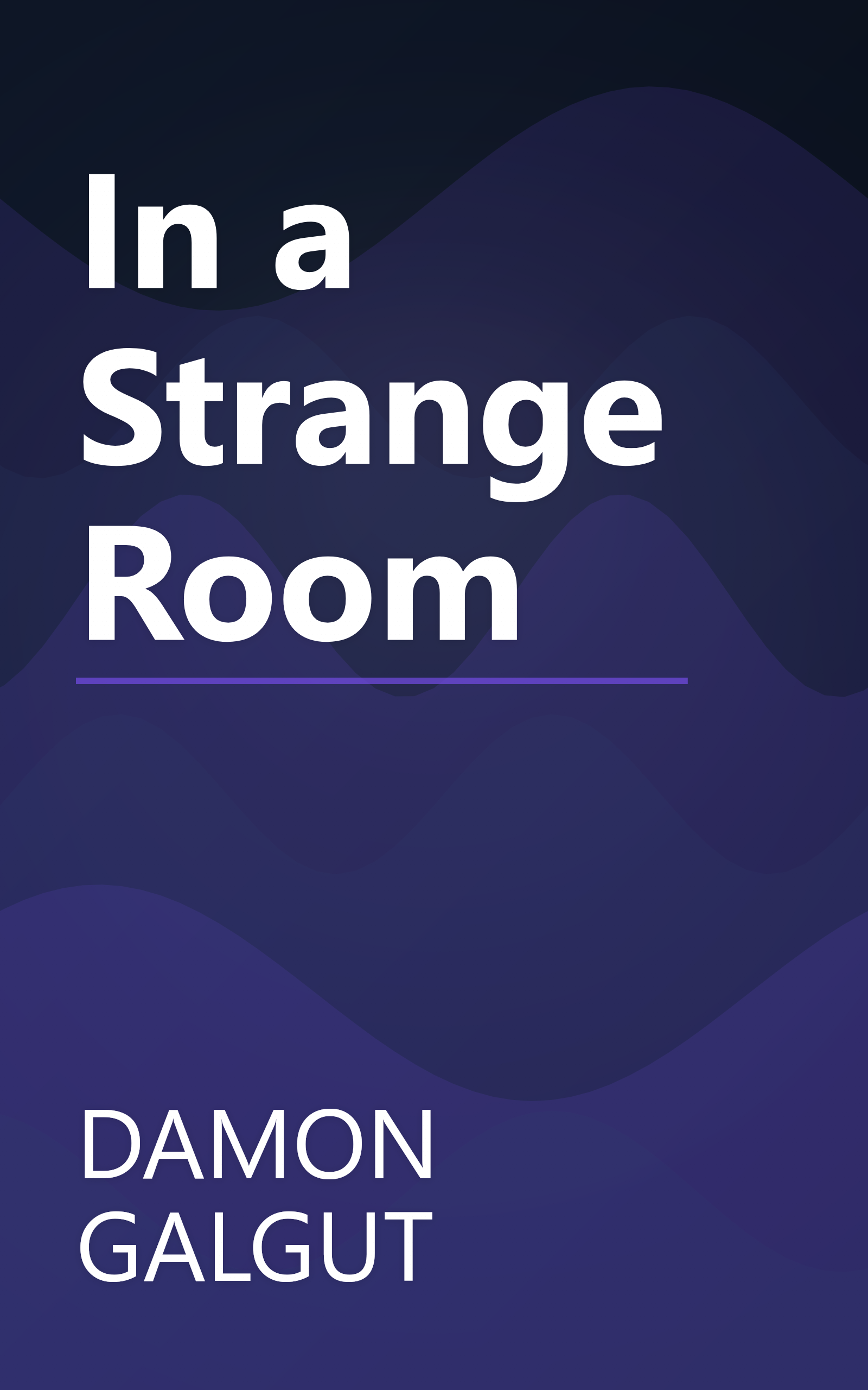 In a Strange Room book cover