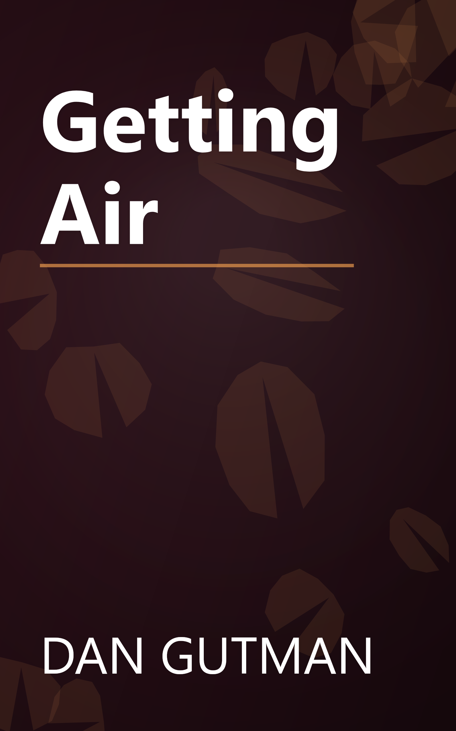 Getting Air book cover