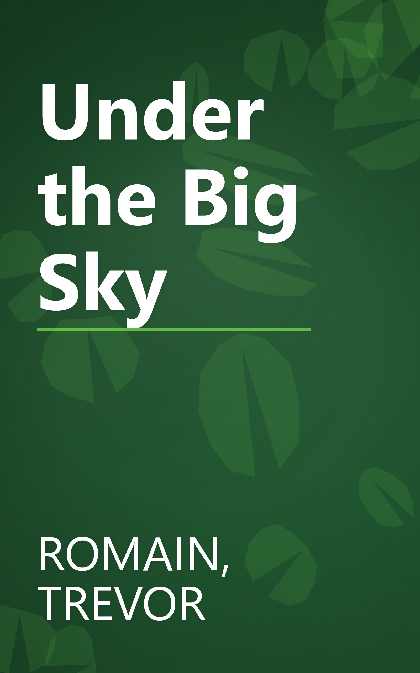 Under the Big Sky book cover