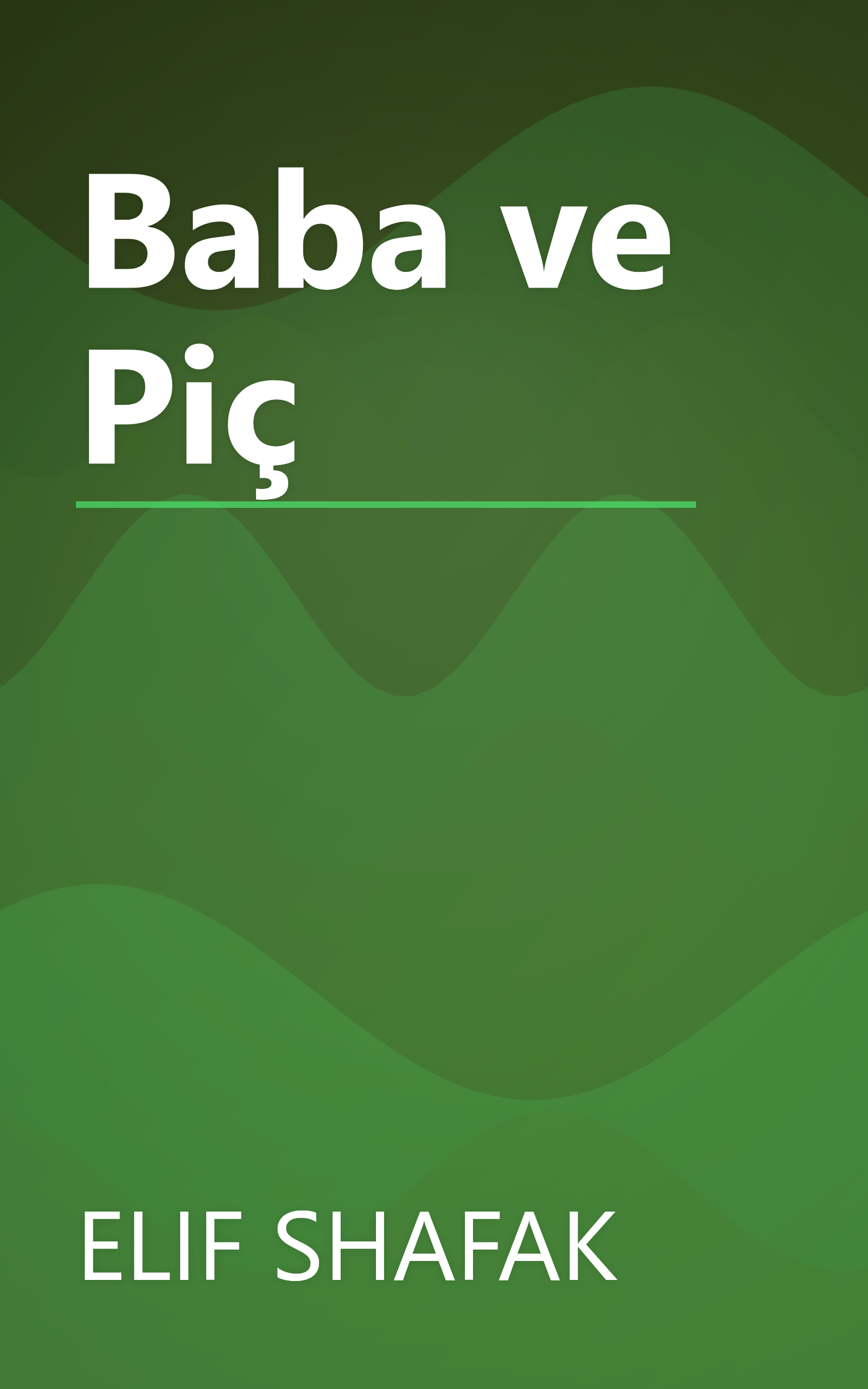 Baba ve Piç book cover