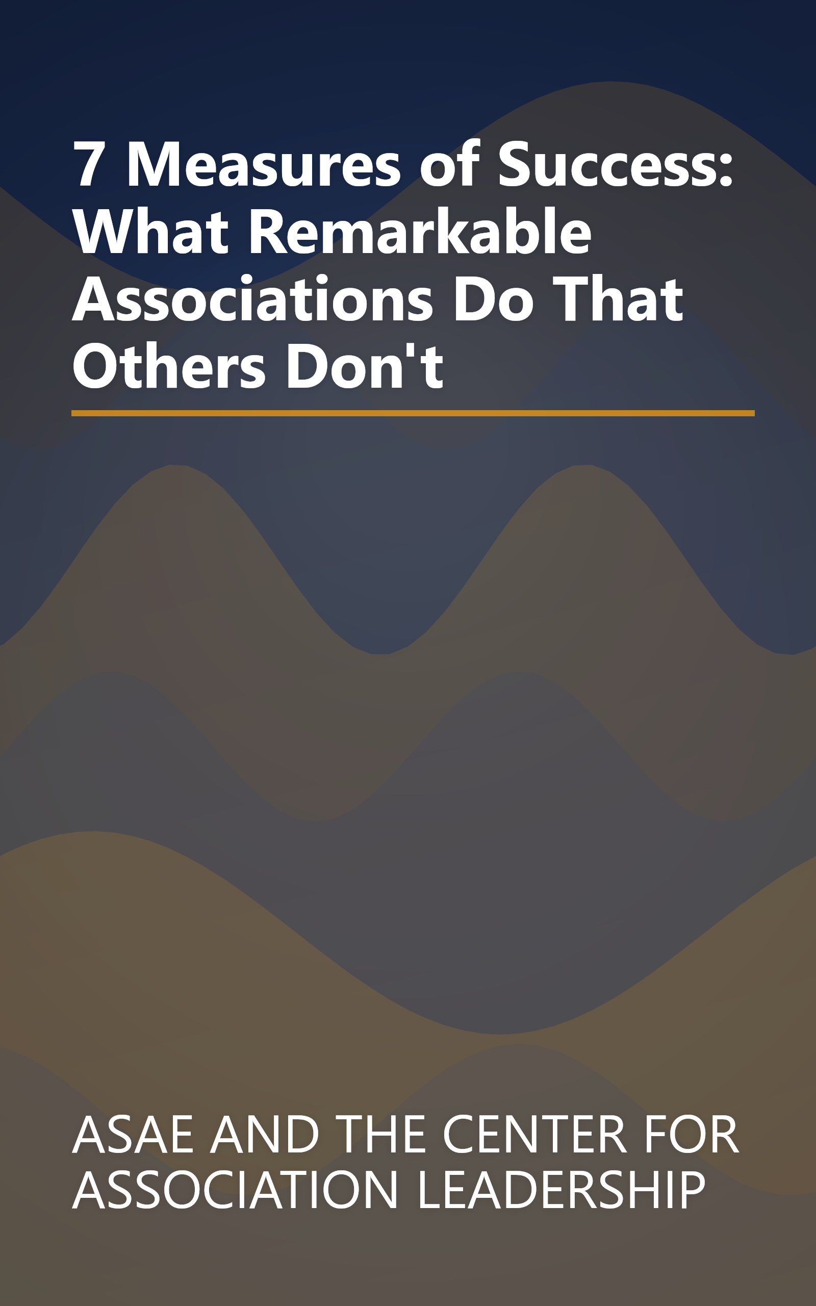 7 Measures of Success: What Remarkable Associations Do That Others Don't book cover