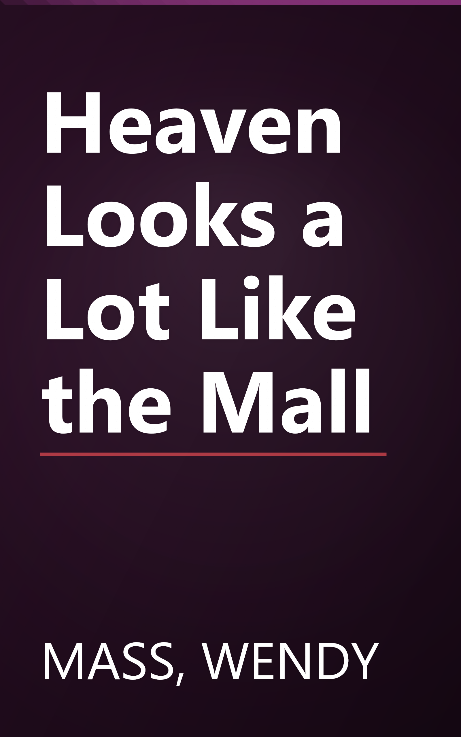 Heaven Looks a Lot Like the Mall book cover