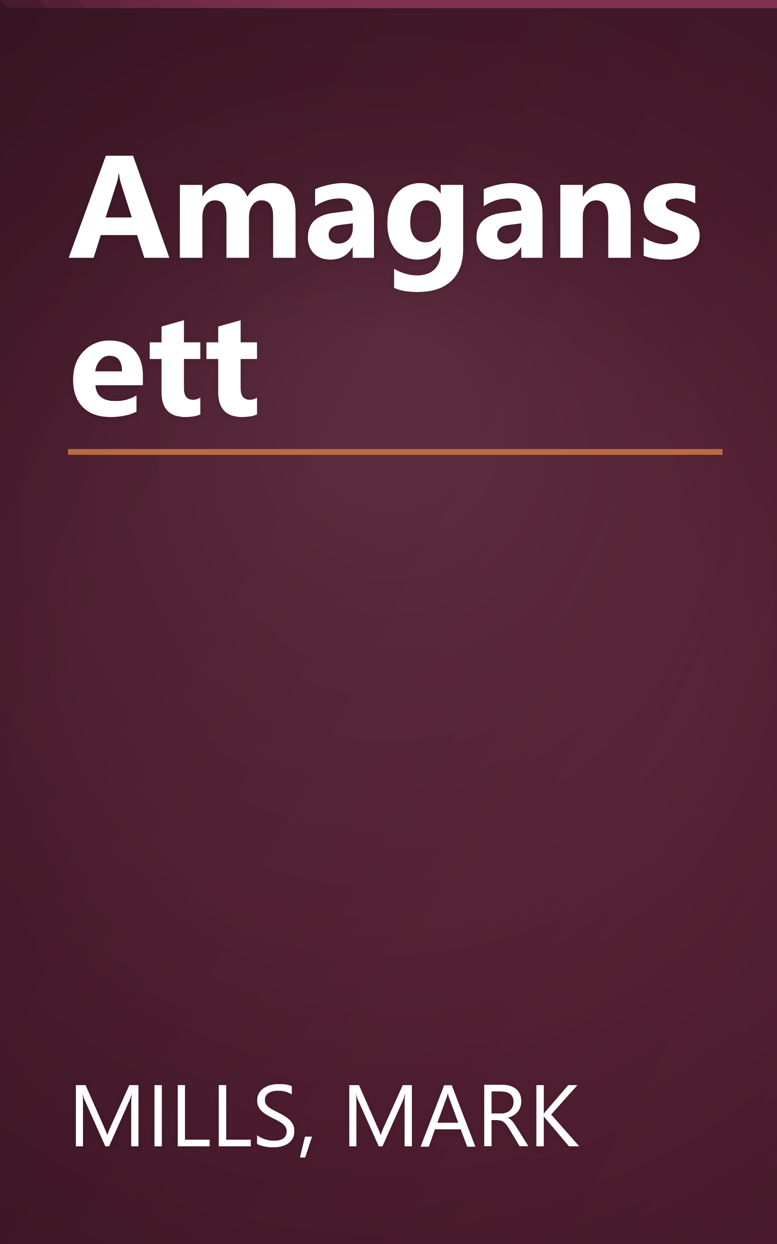 Amagansett book cover