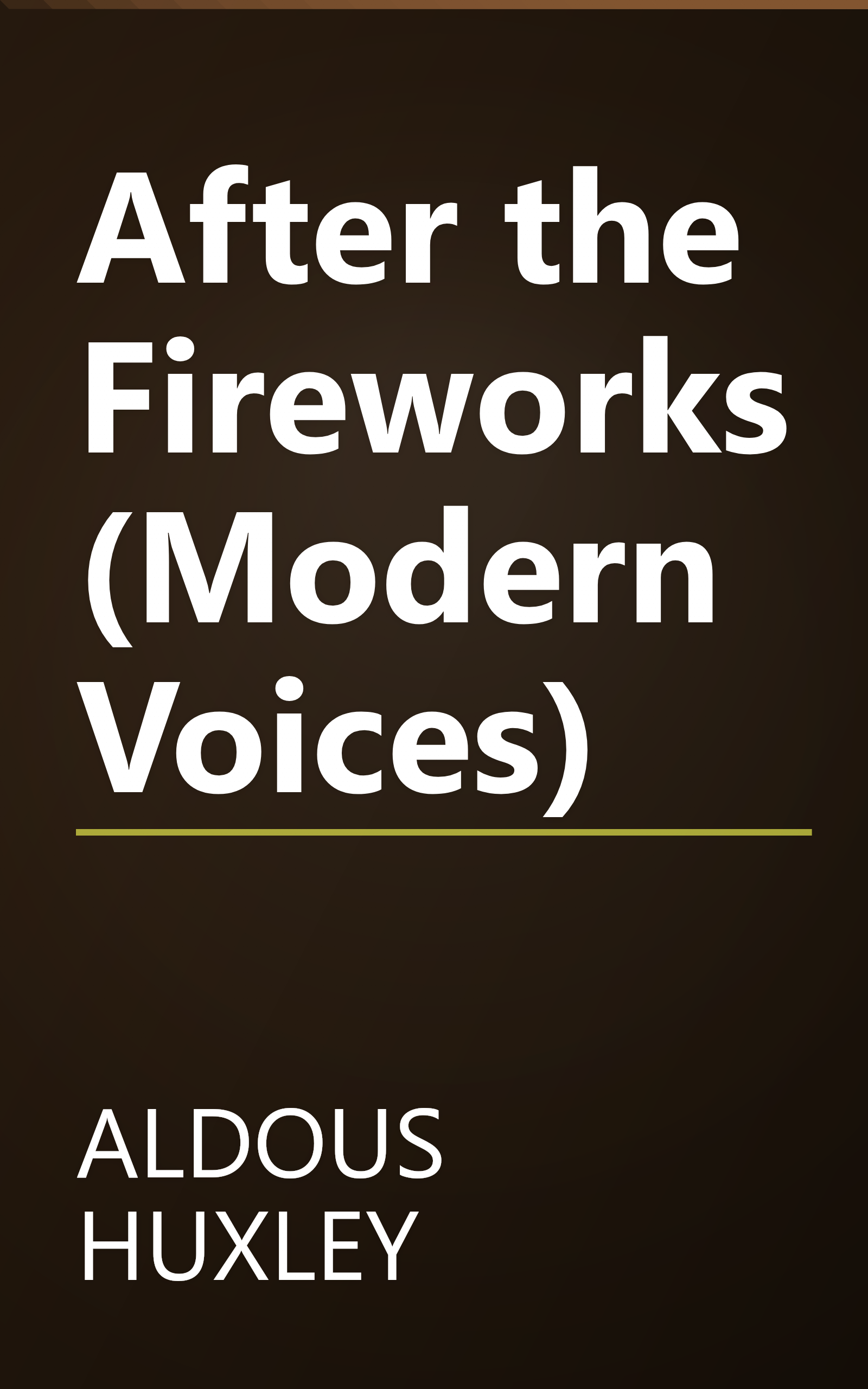 After the Fireworks (Modern Voices) book cover