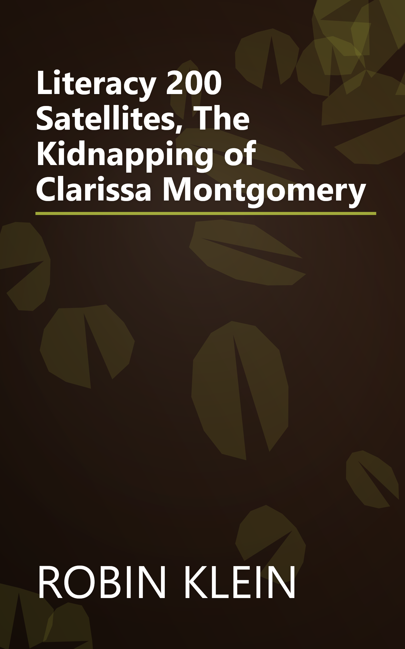 Literacy 200 Satellites, The Kidnapping of Clarissa Montgomery book cover