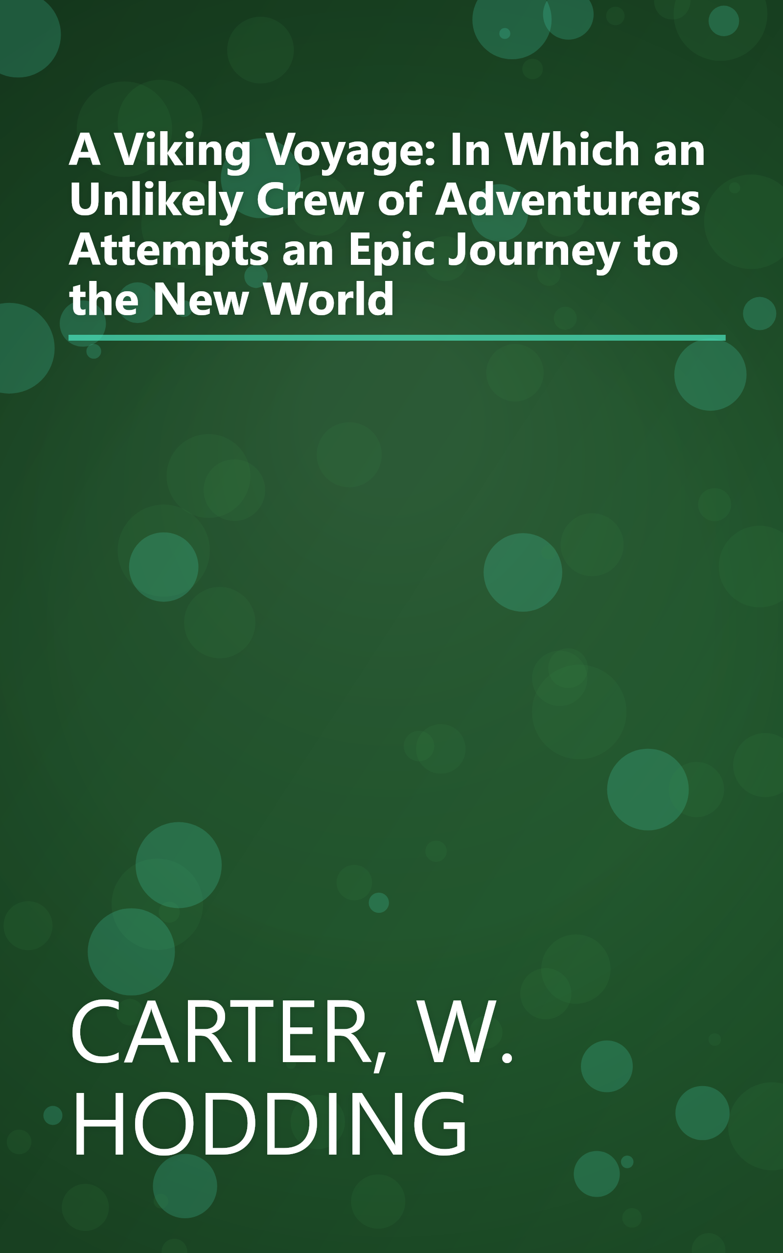 A Viking Voyage: In Which an Unlikely Crew of Adventurers Attempts an Epic Journey to the New World book cover