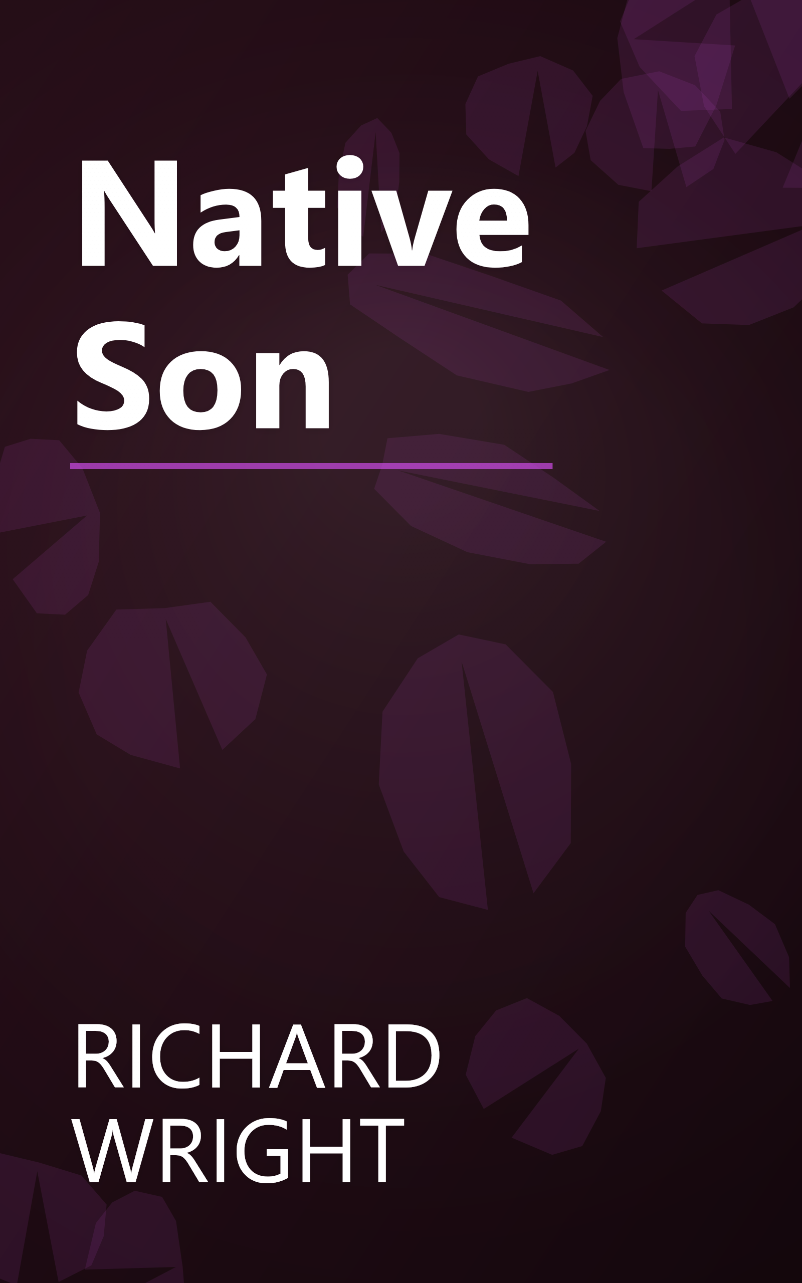 Native Son book cover