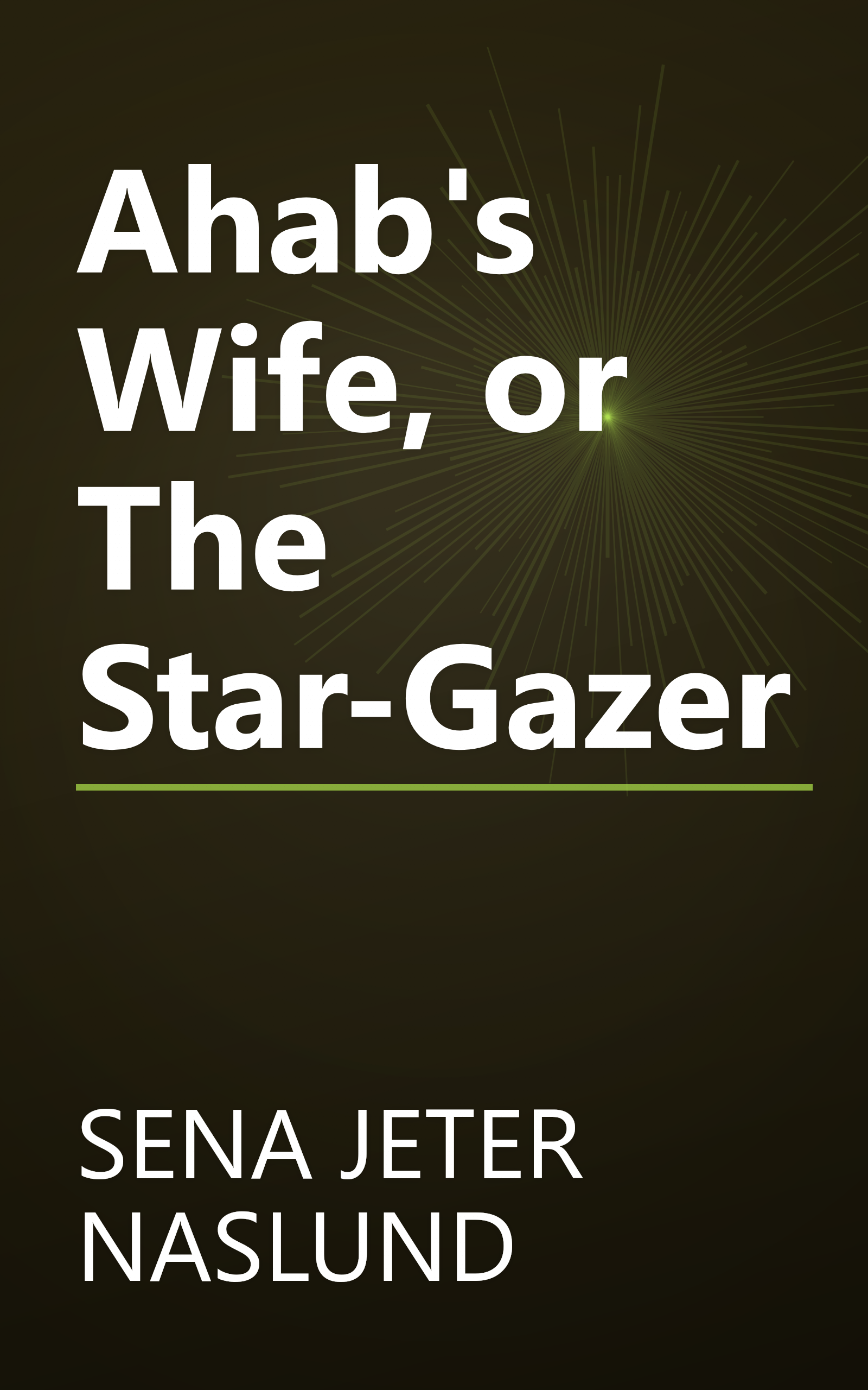Ahab's Wife, or The Star-Gazer book cover
