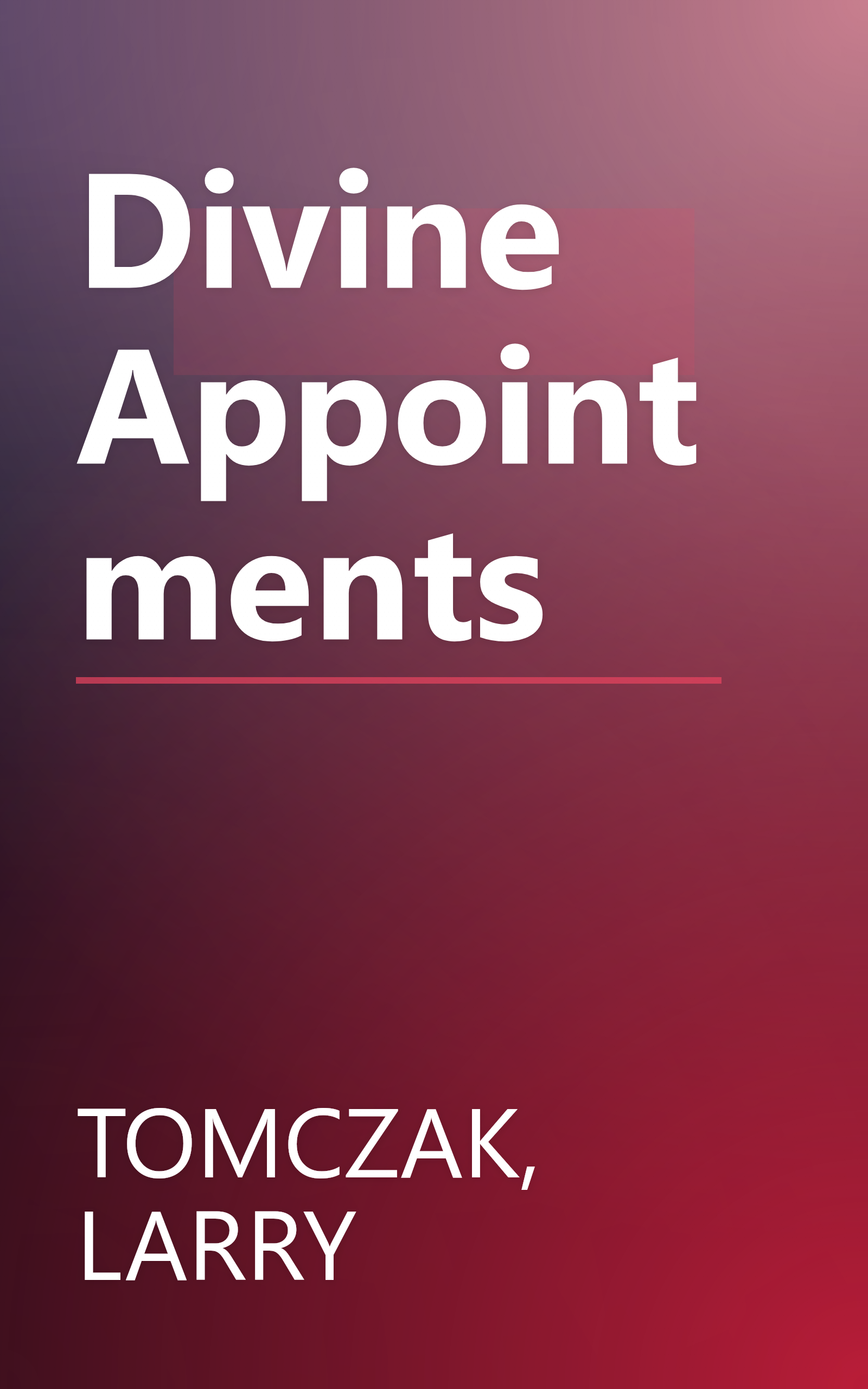Divine Appointments book cover