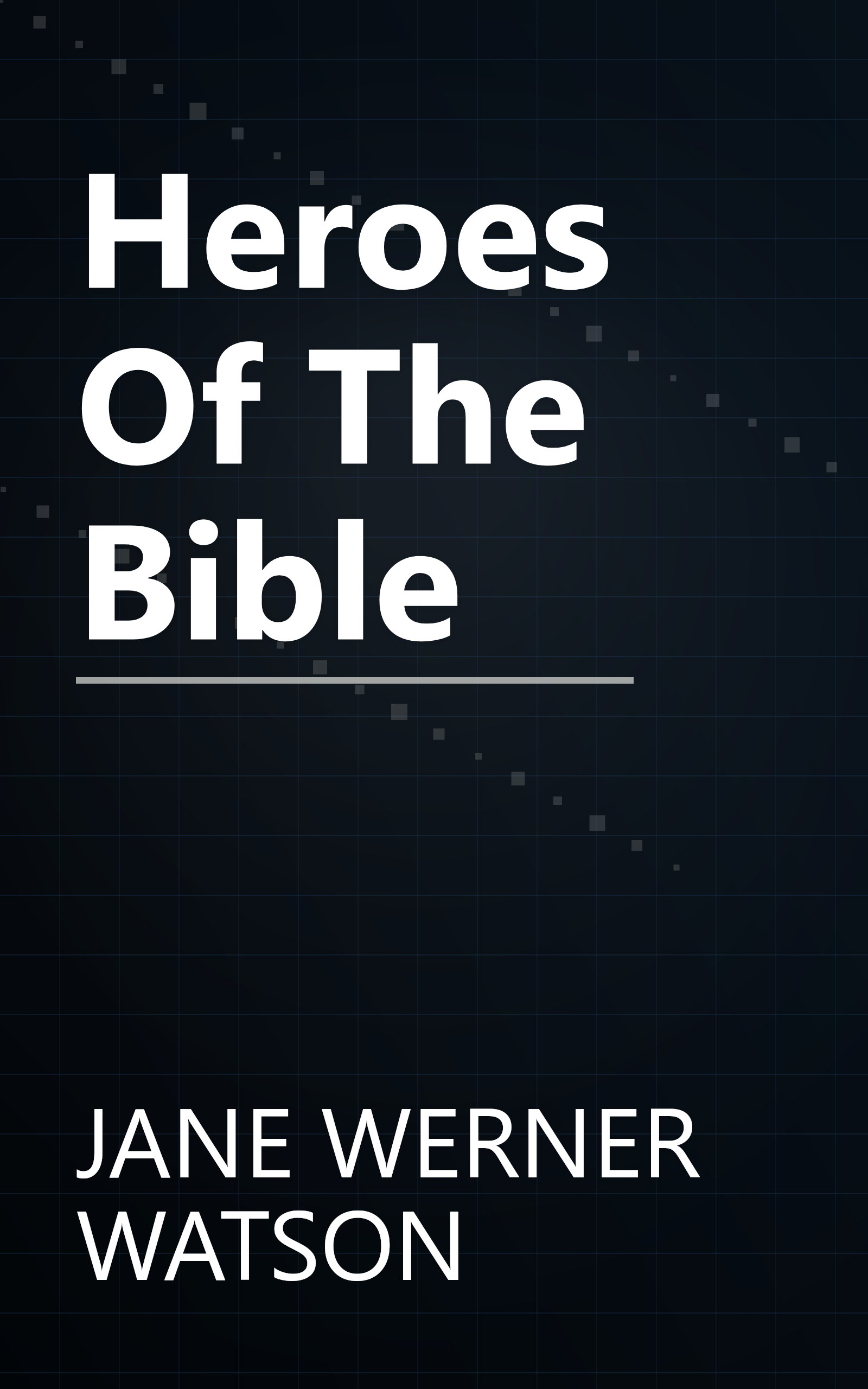 Heroes Of The Bible book cover