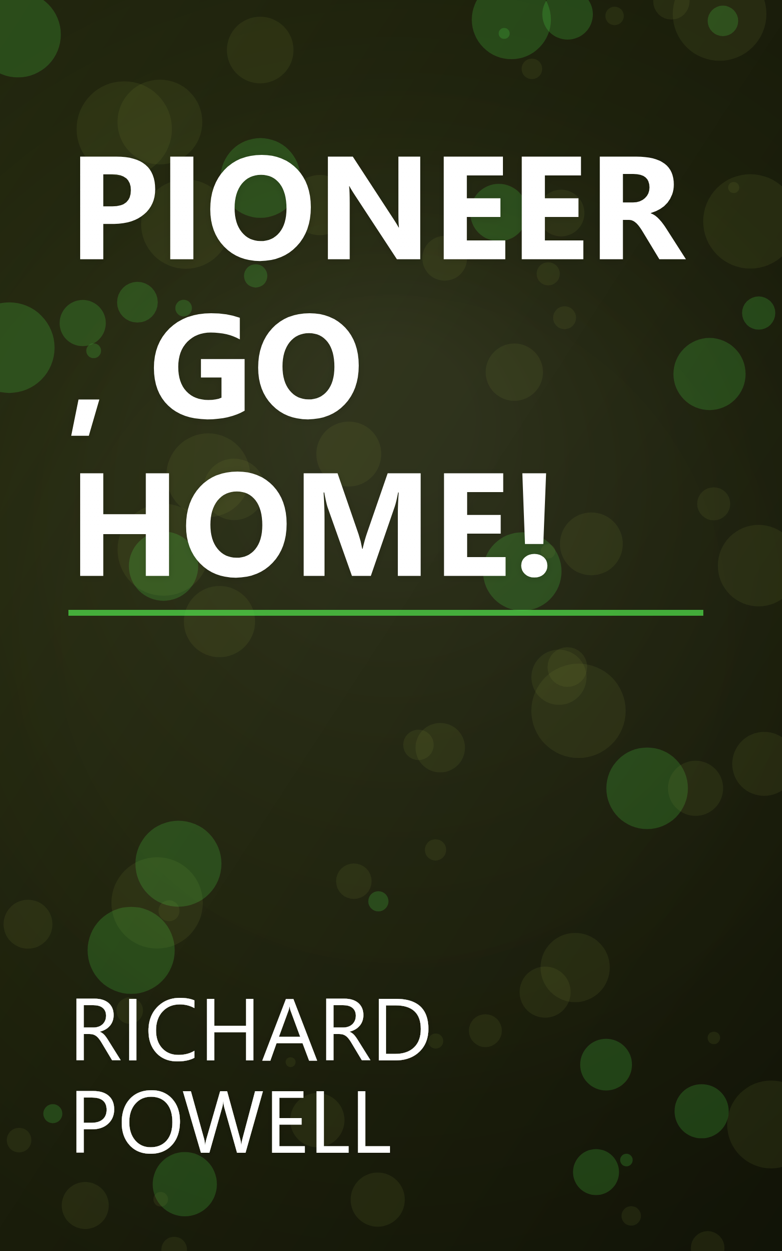 PIONEER, GO HOME! book cover