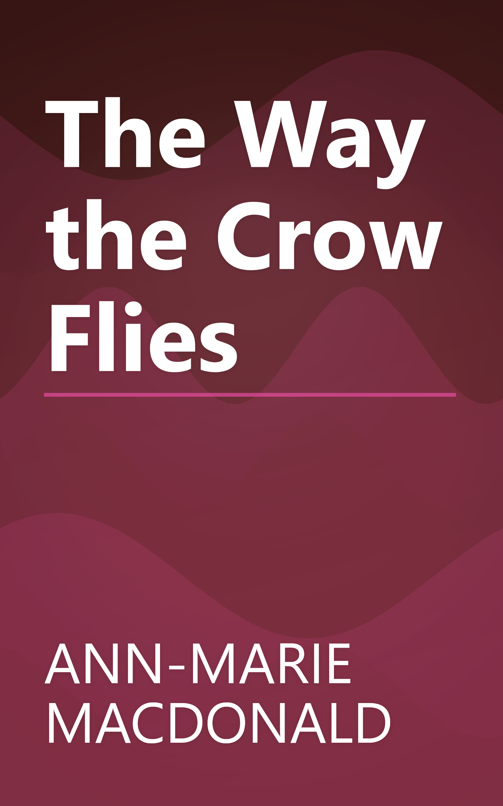 The Way the Crow Flies book cover
