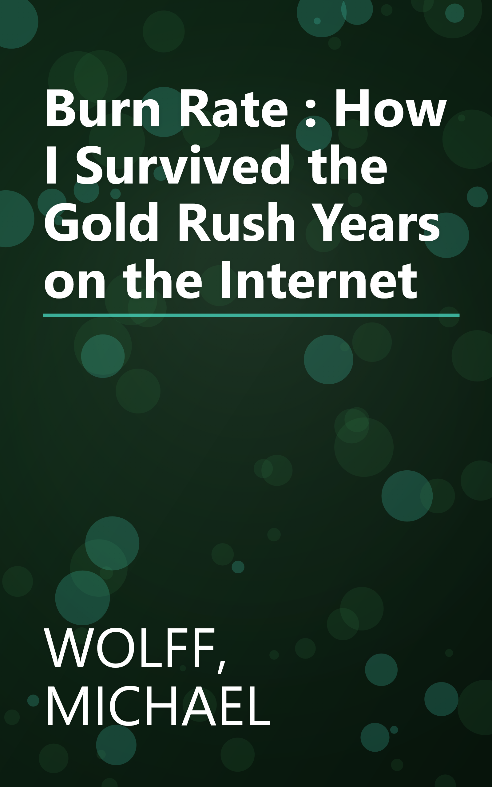 Burn Rate : How I Survived the Gold Rush Years on the Internet book cover