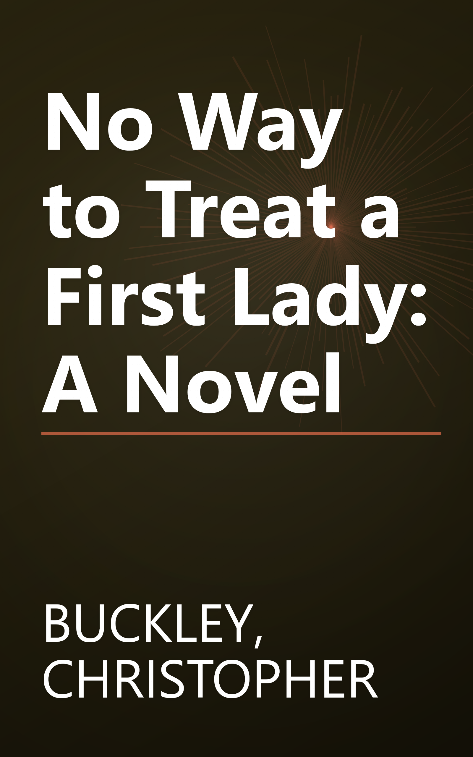 No Way to Treat a First Lady: A Novel book cover