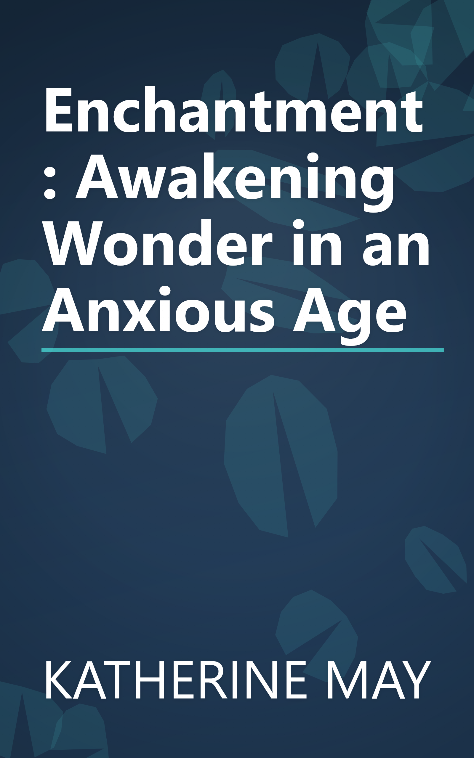 Enchantment: Awakening Wonder in an Anxious Age book cover