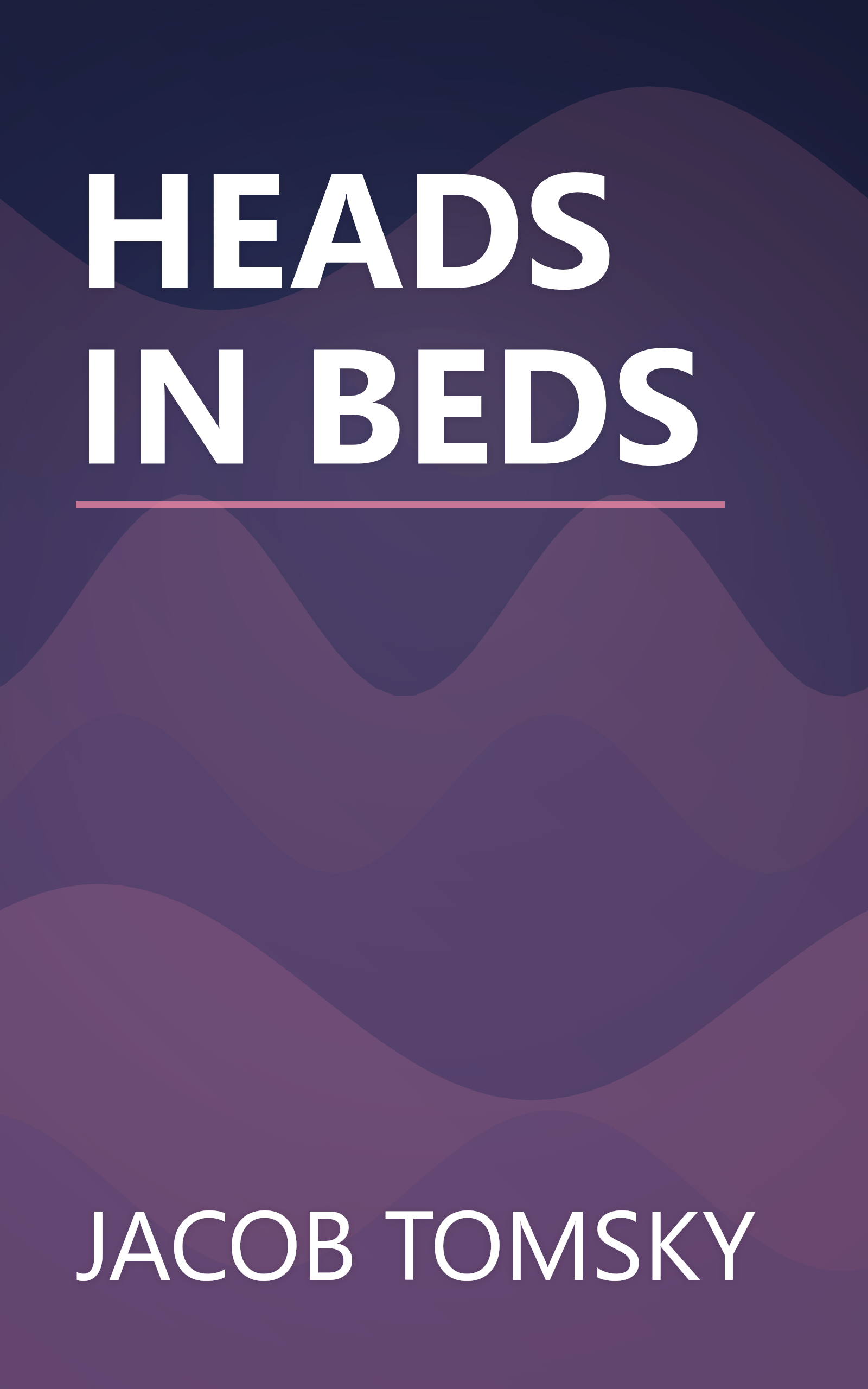 HEADS IN BEDS book cover