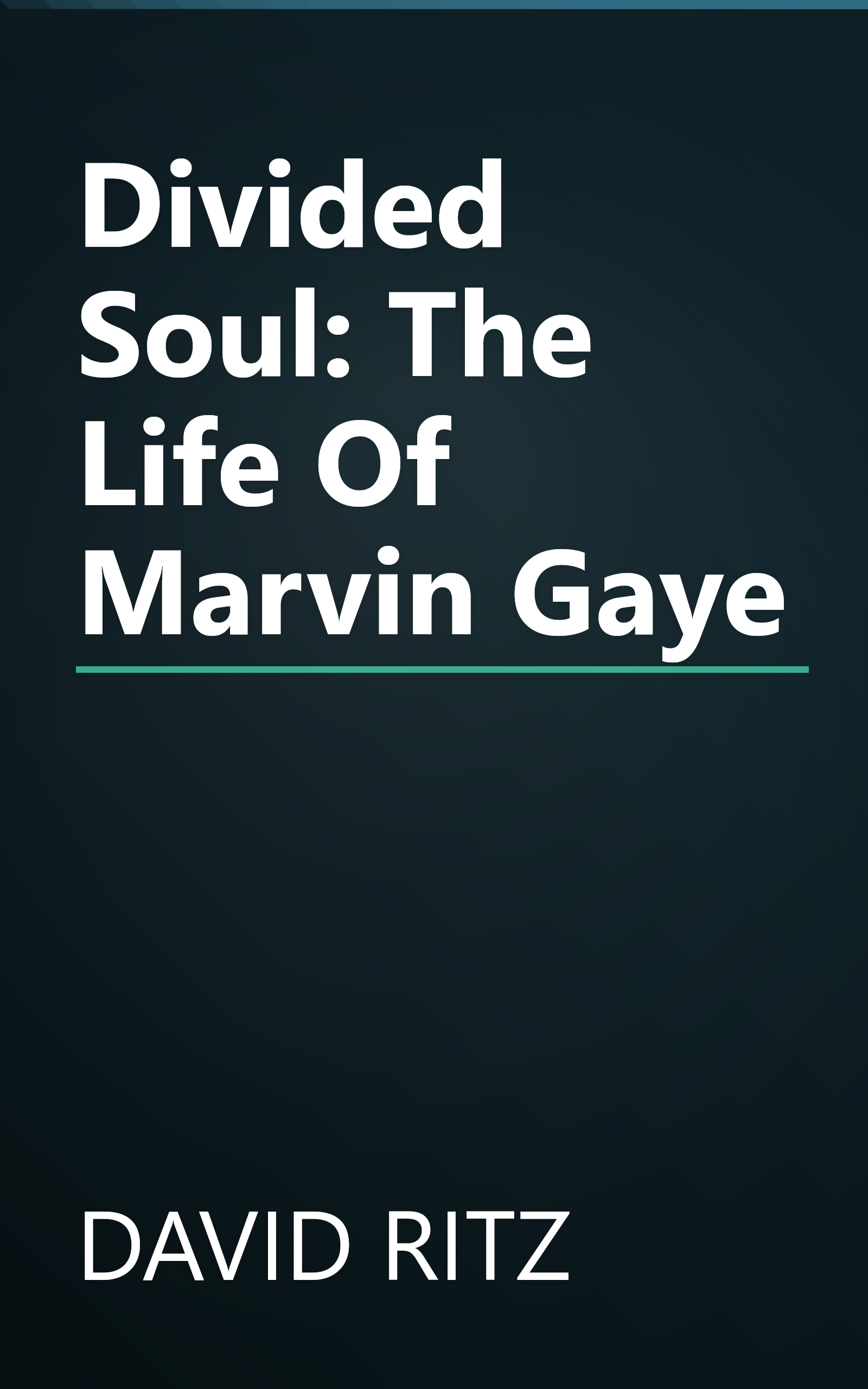 Divided Soul: The Life Of Marvin Gaye book cover
