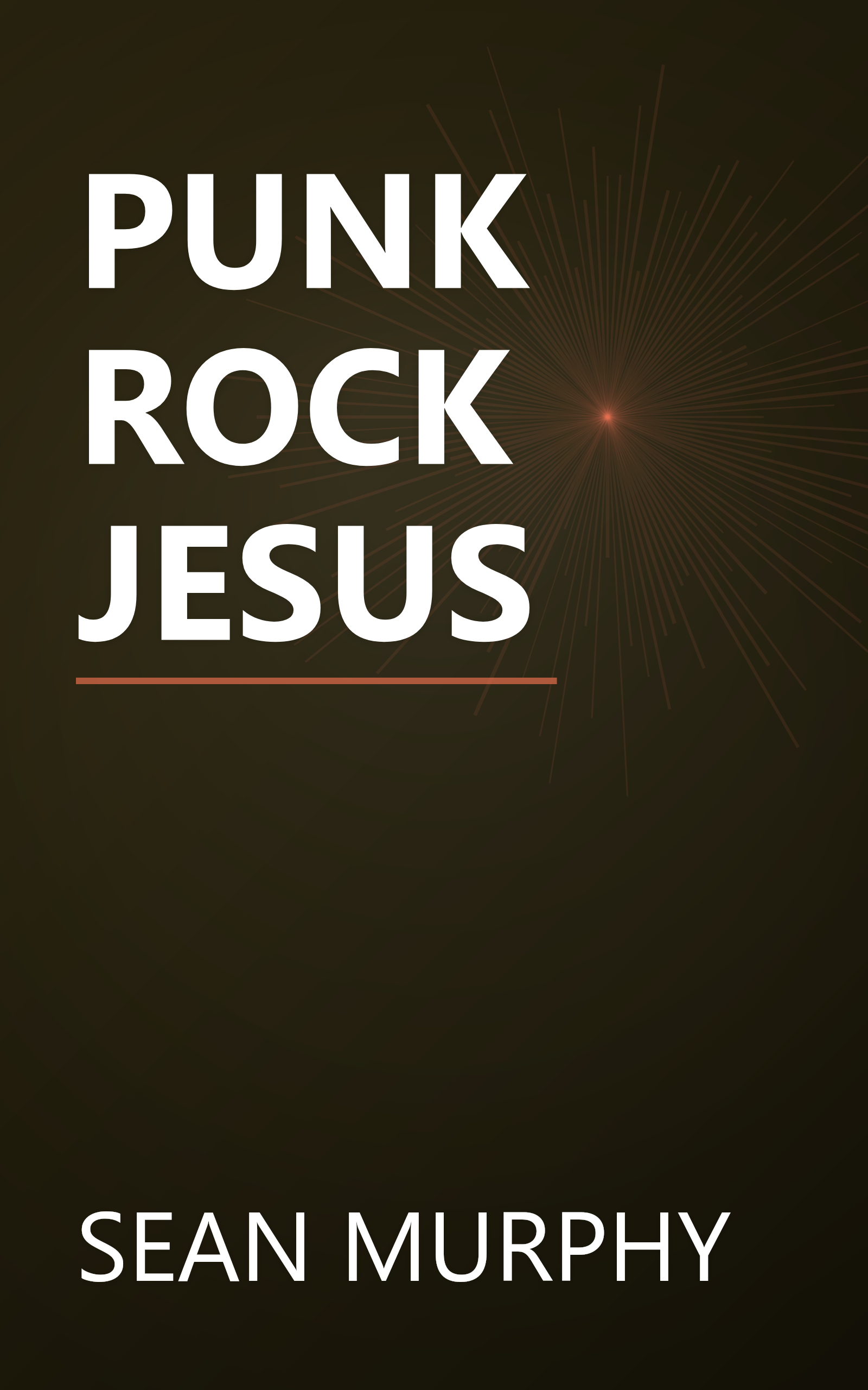 PUNK ROCK JESUS book cover