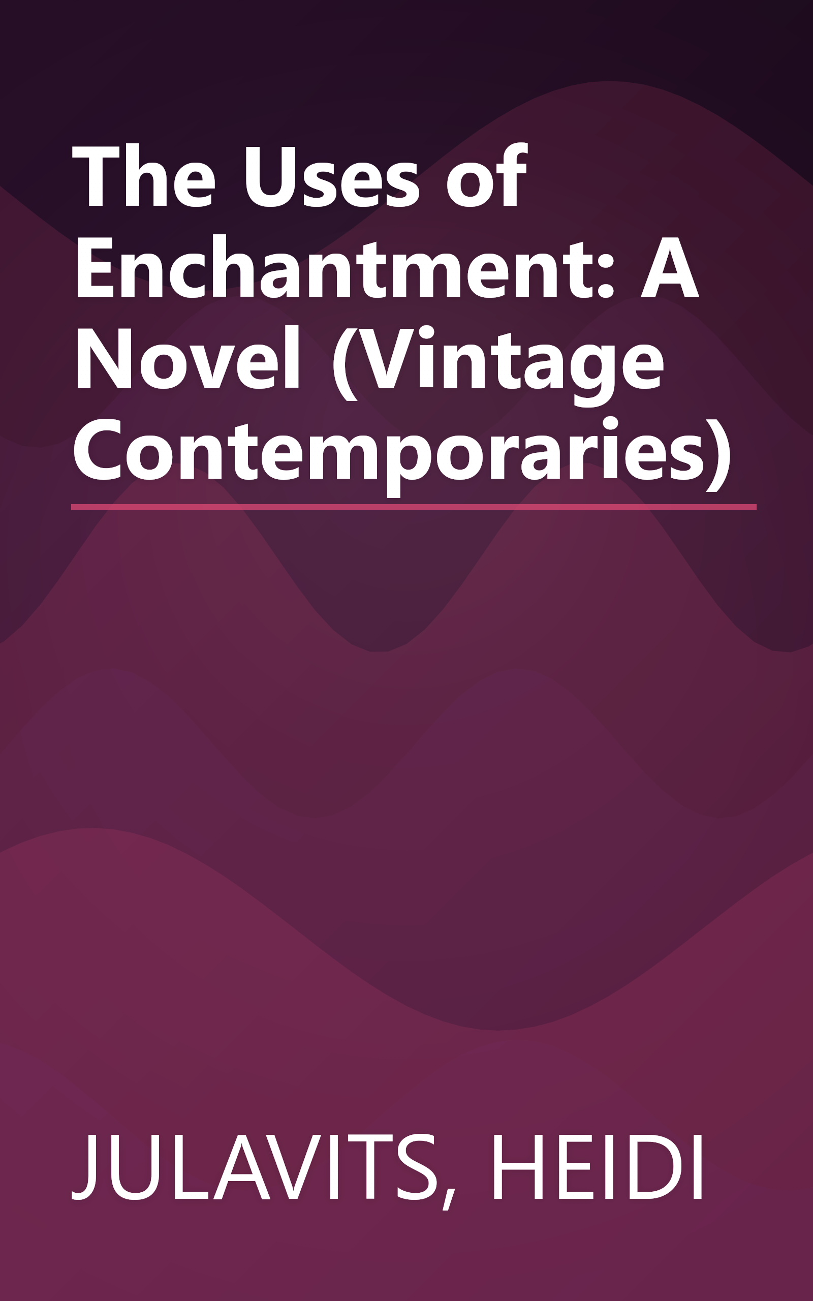 The Uses of Enchantment: A Novel (Vintage Contemporaries) book cover