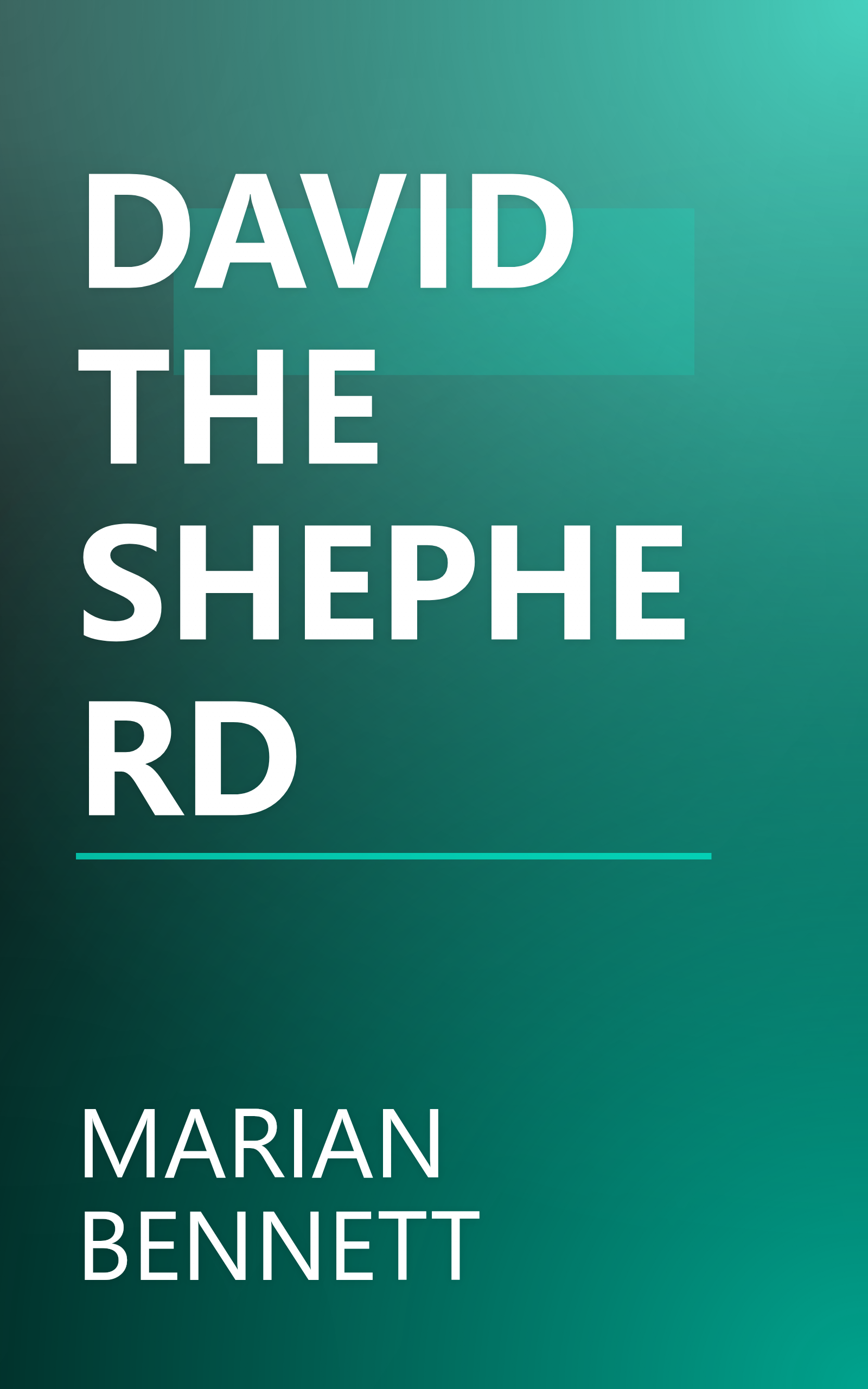DAVID THE SHEPHERD book cover