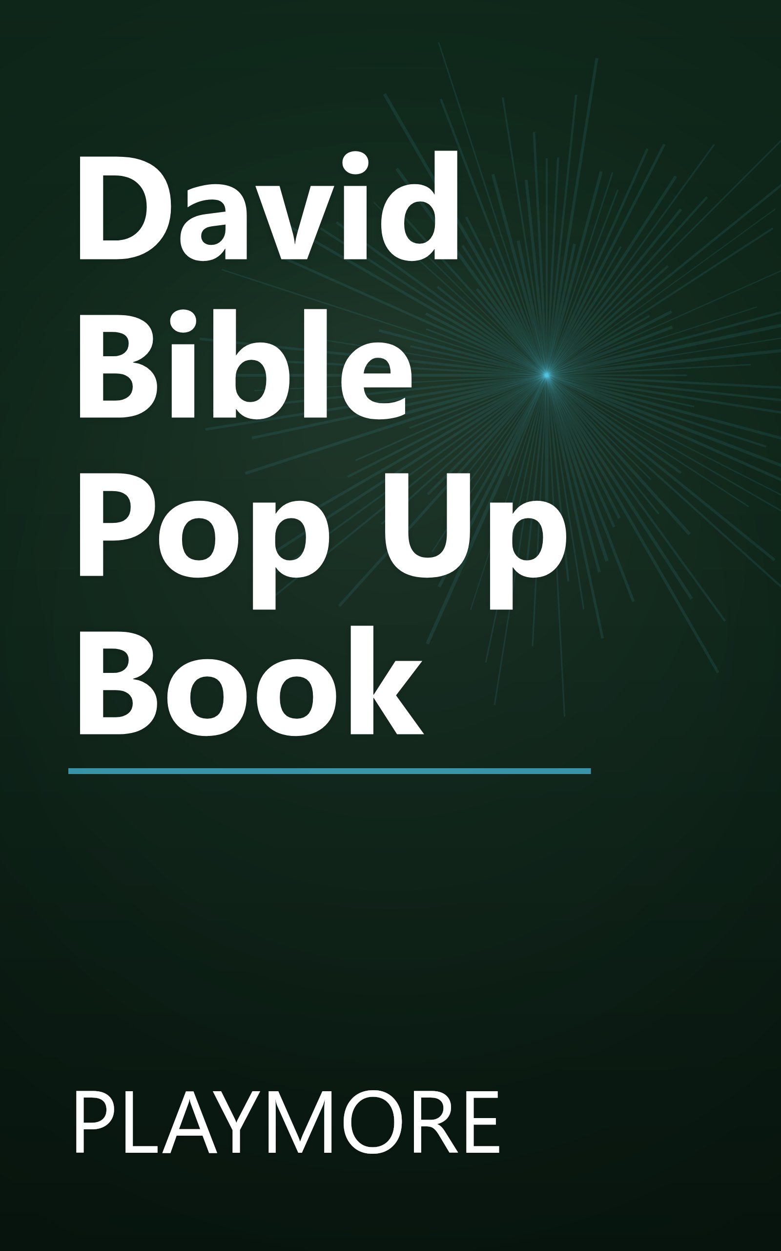 David Bible Pop Up Book book cover