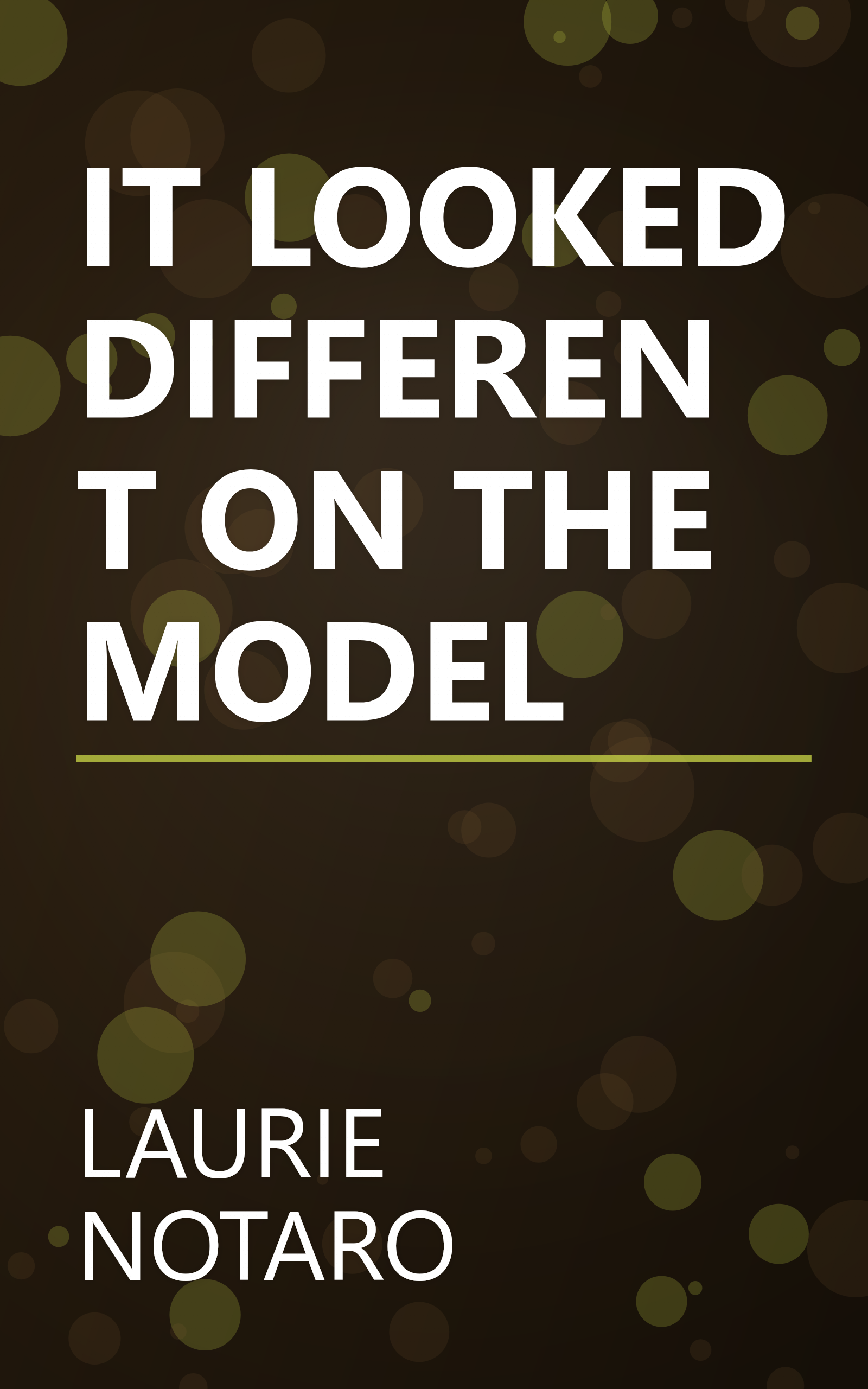 IT LOOKED DIFFERENT ON THE MODEL book cover