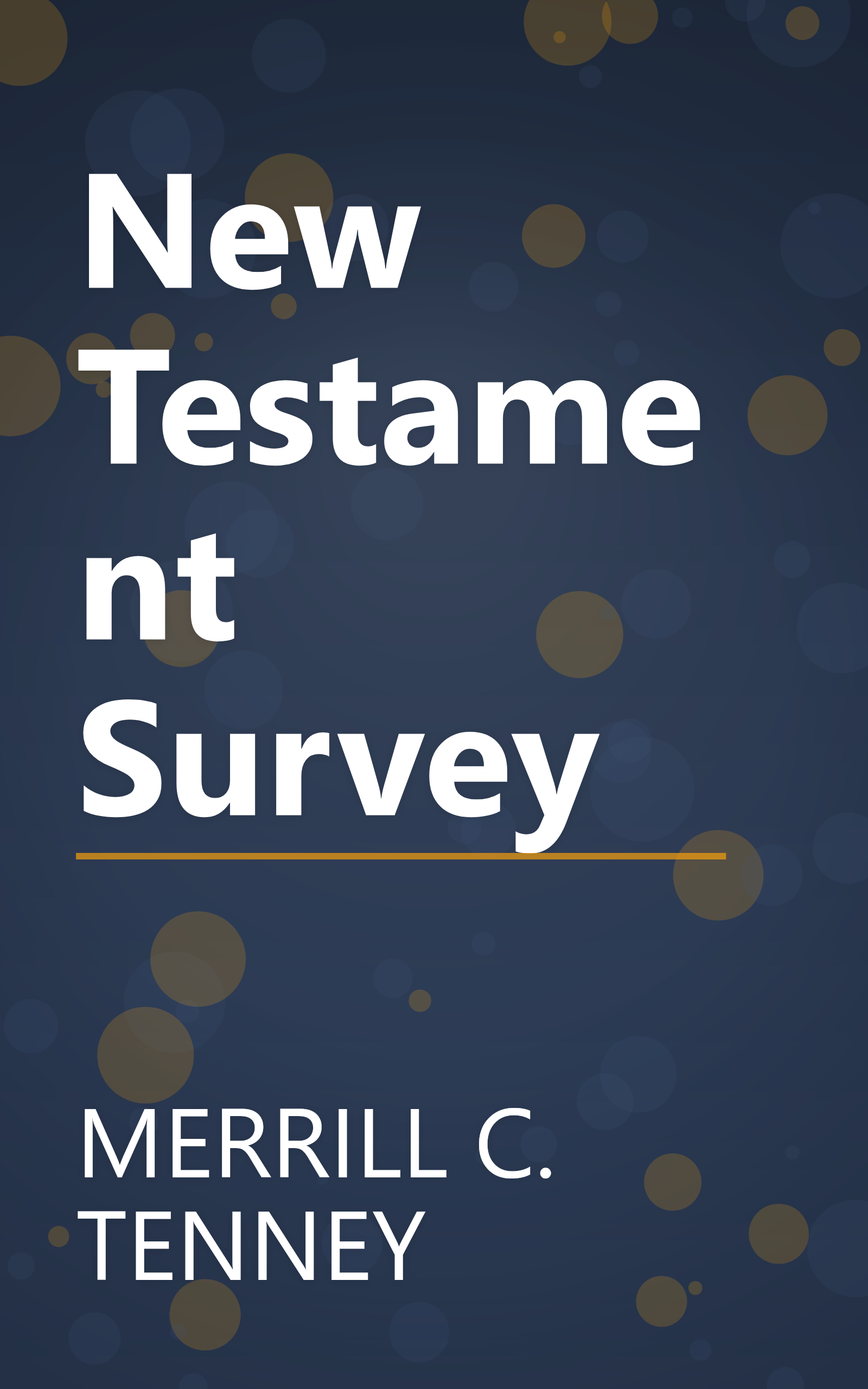 New Testament Survey book cover