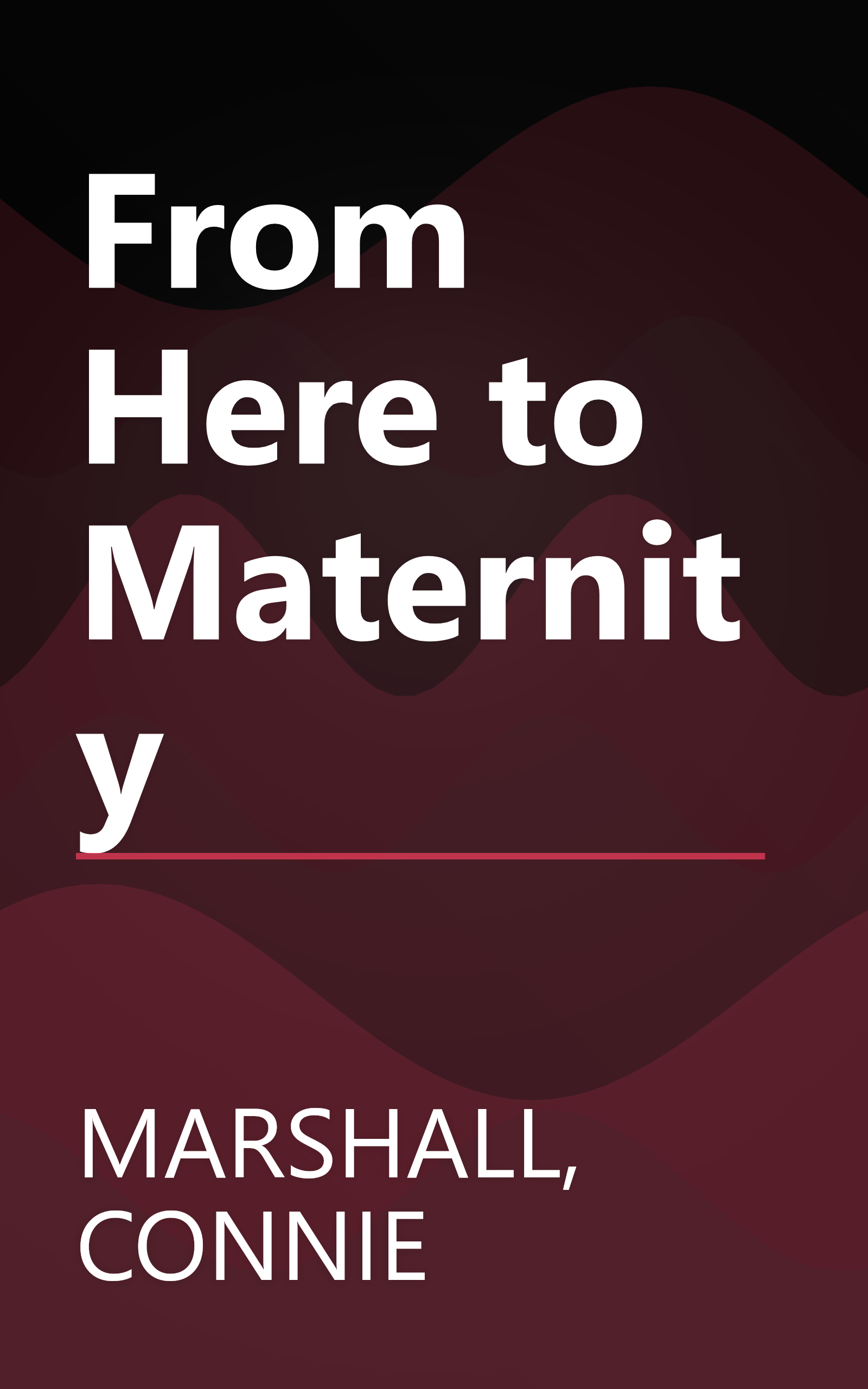 From Here to Maternity book cover