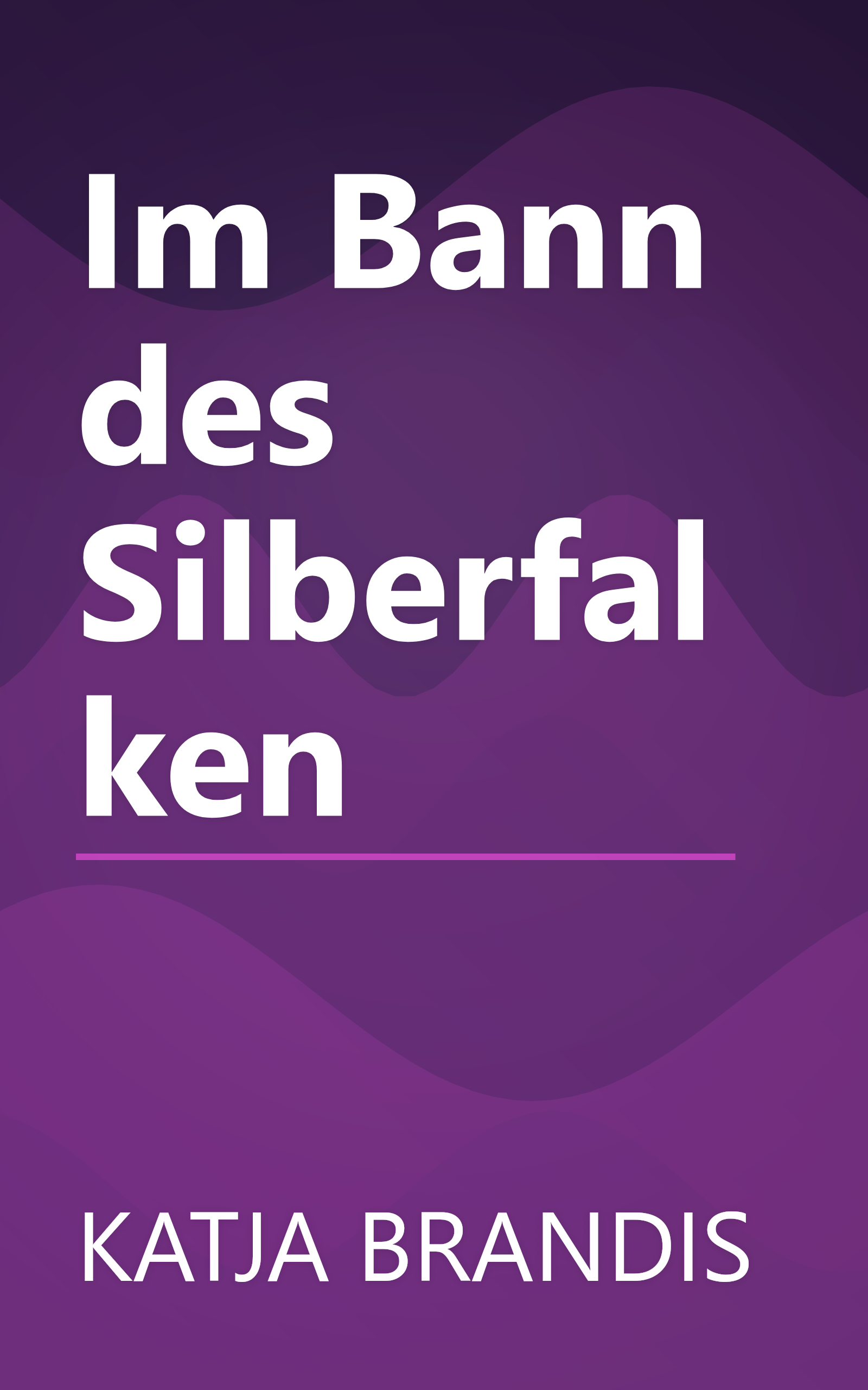 Im Bann des Silberfalken book cover