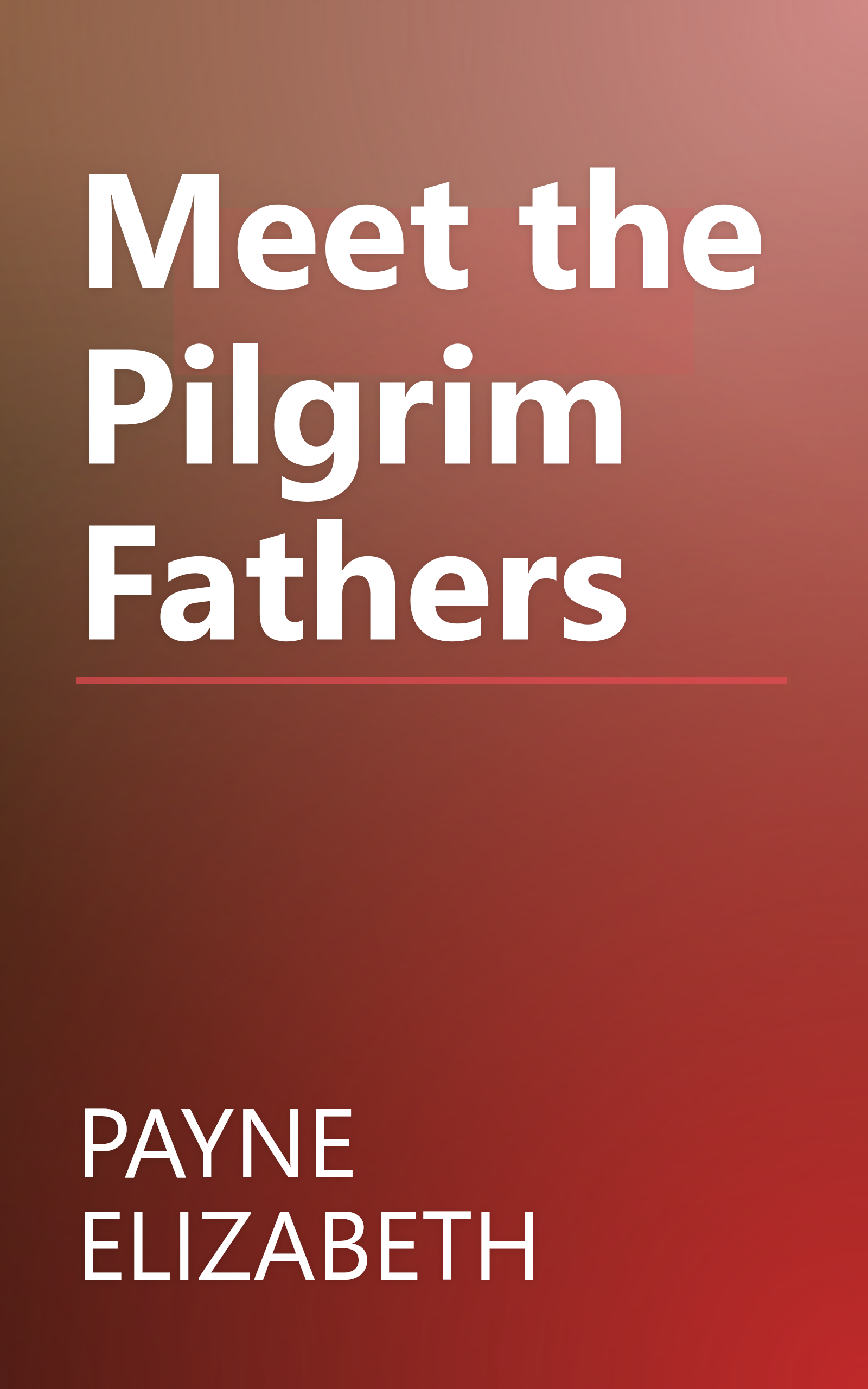 Meet the Pilgrim Fathers book cover