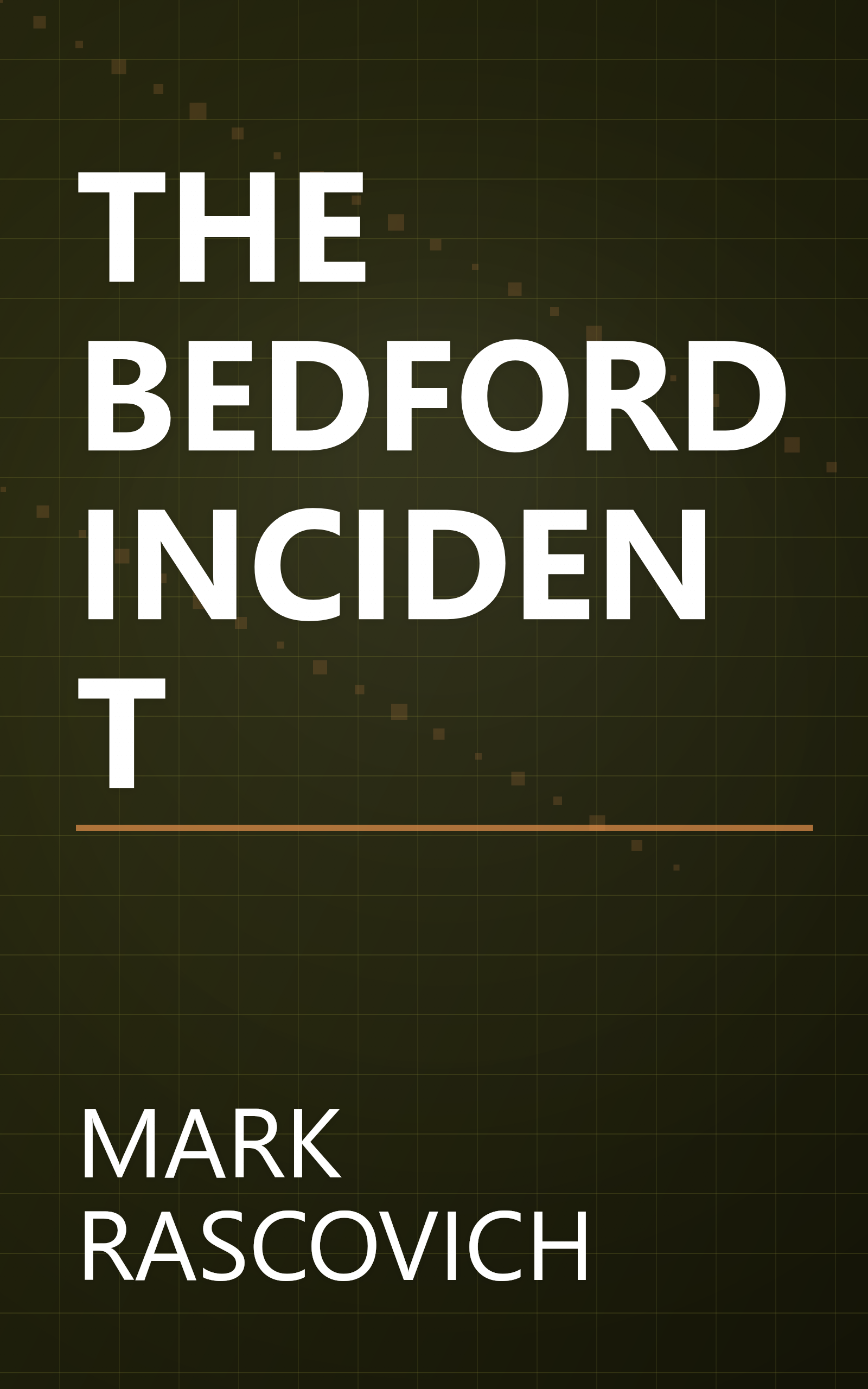 THE BEDFORD INCIDENT book cover
