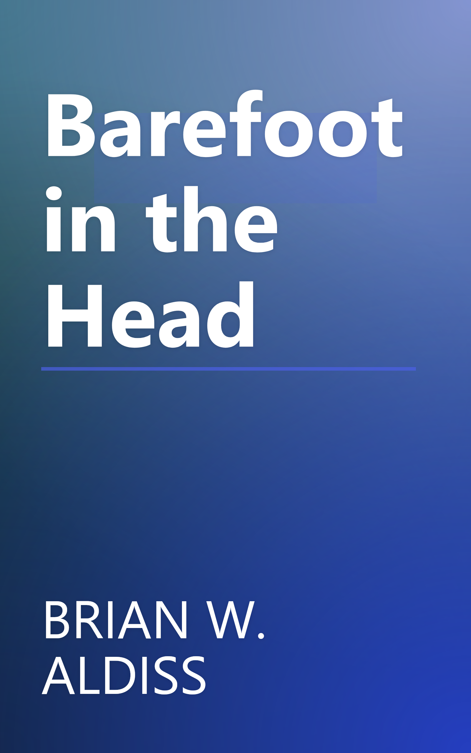 Barefoot in the Head book cover