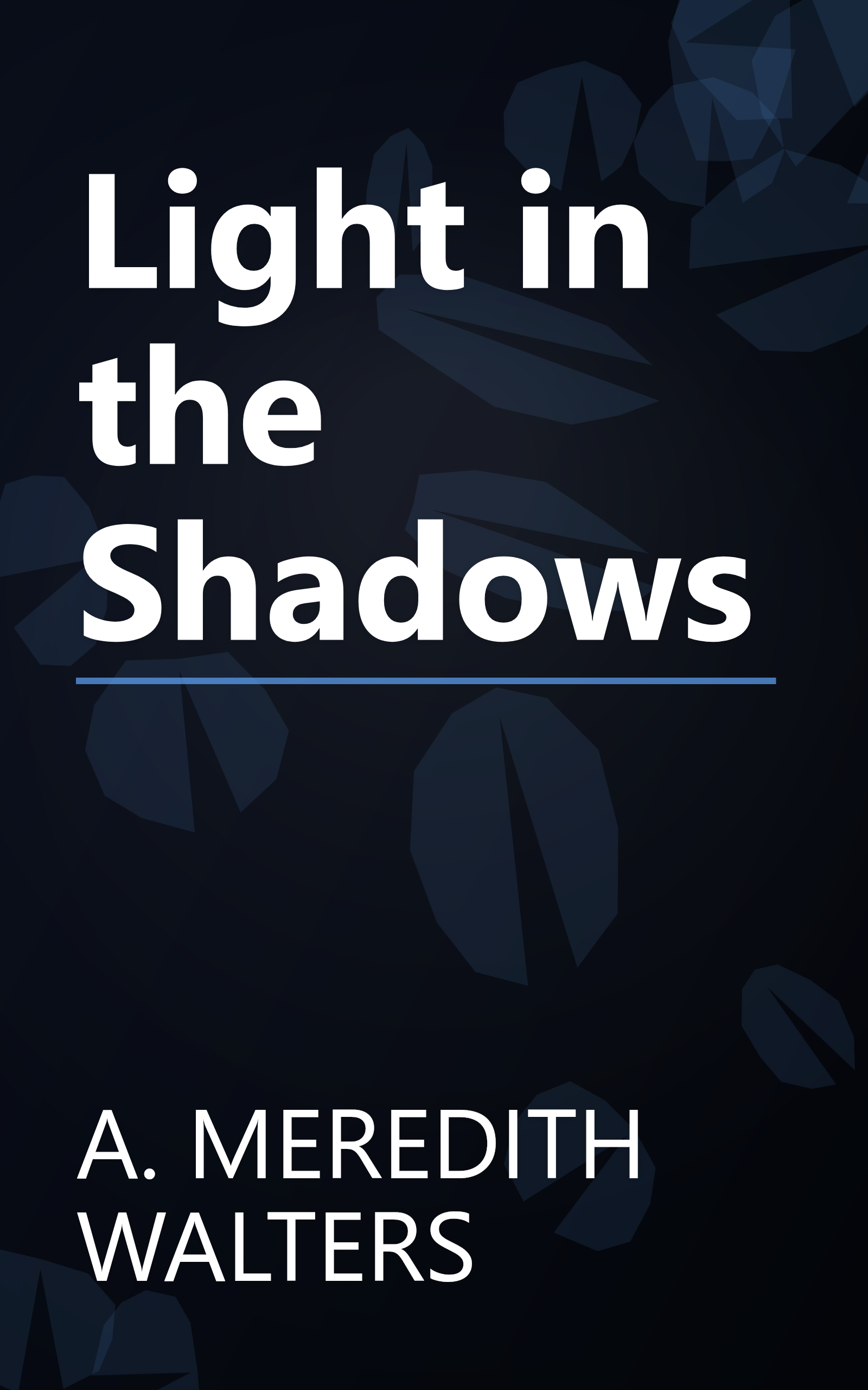 Light in the Shadows book cover
