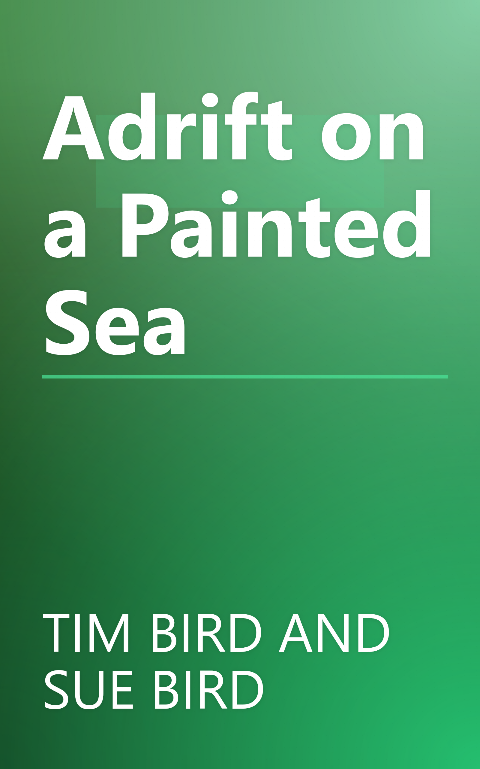 Adrift on a Painted Sea book cover