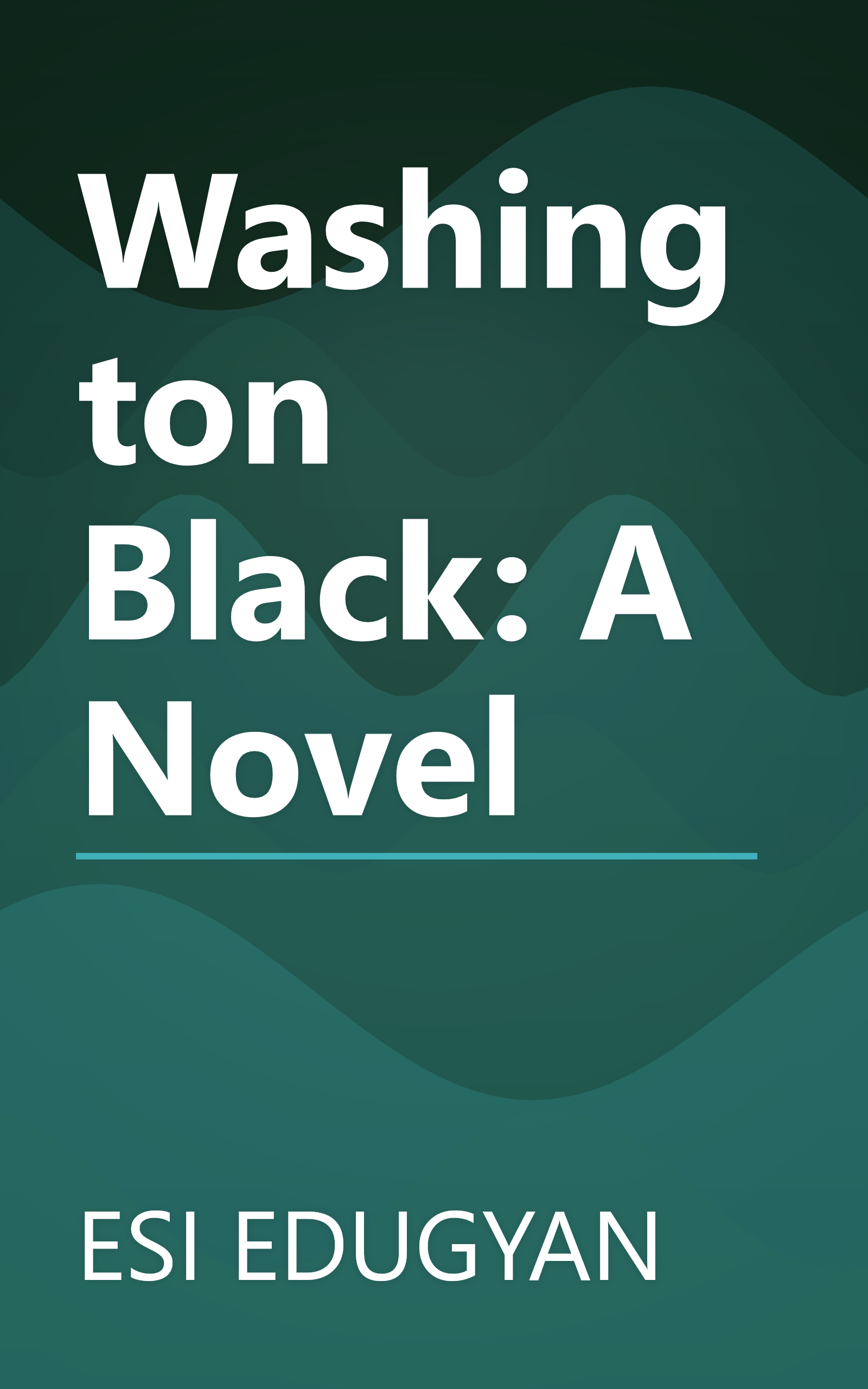 Washington Black: A Novel book cover