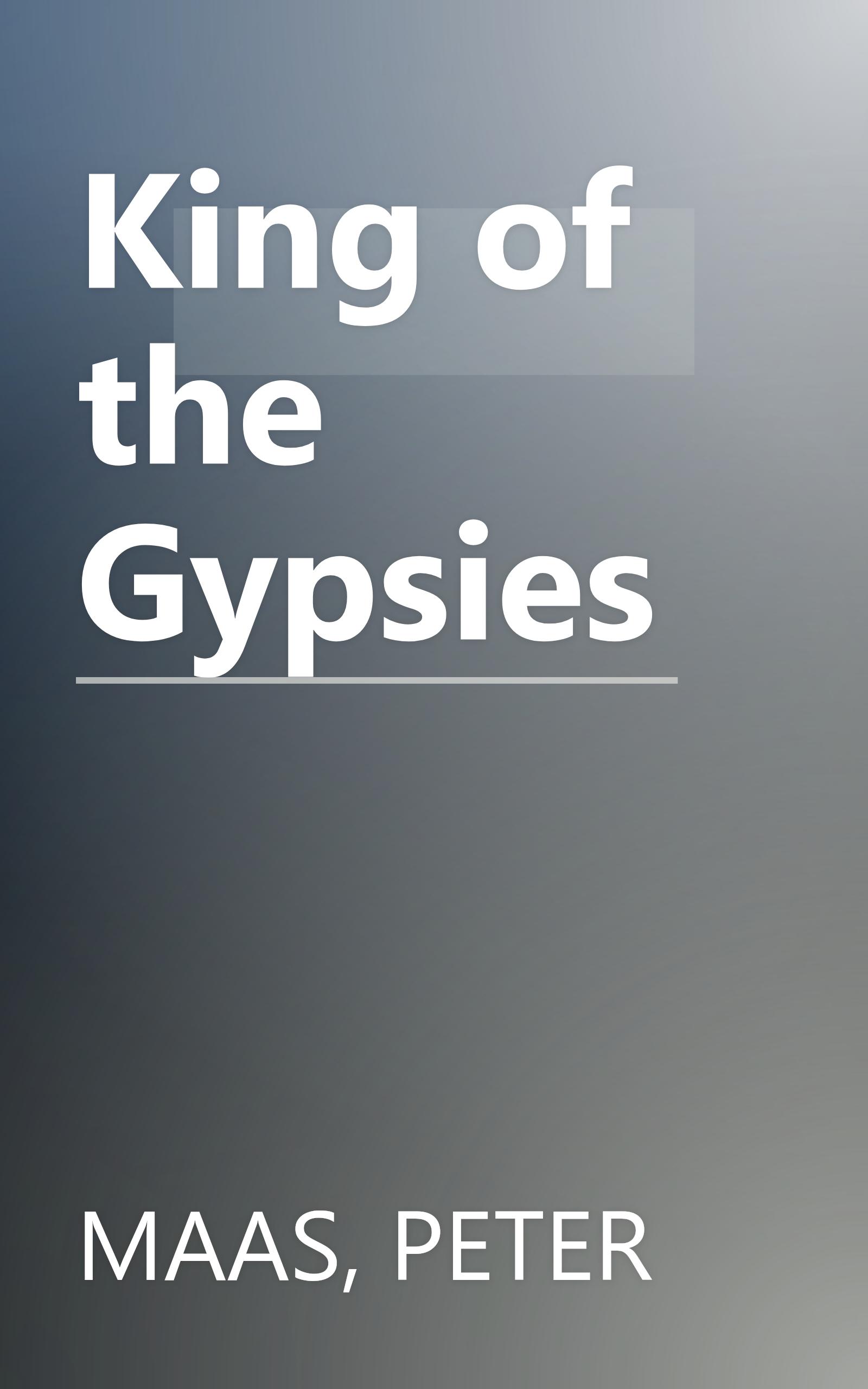 King of the Gypsies book cover