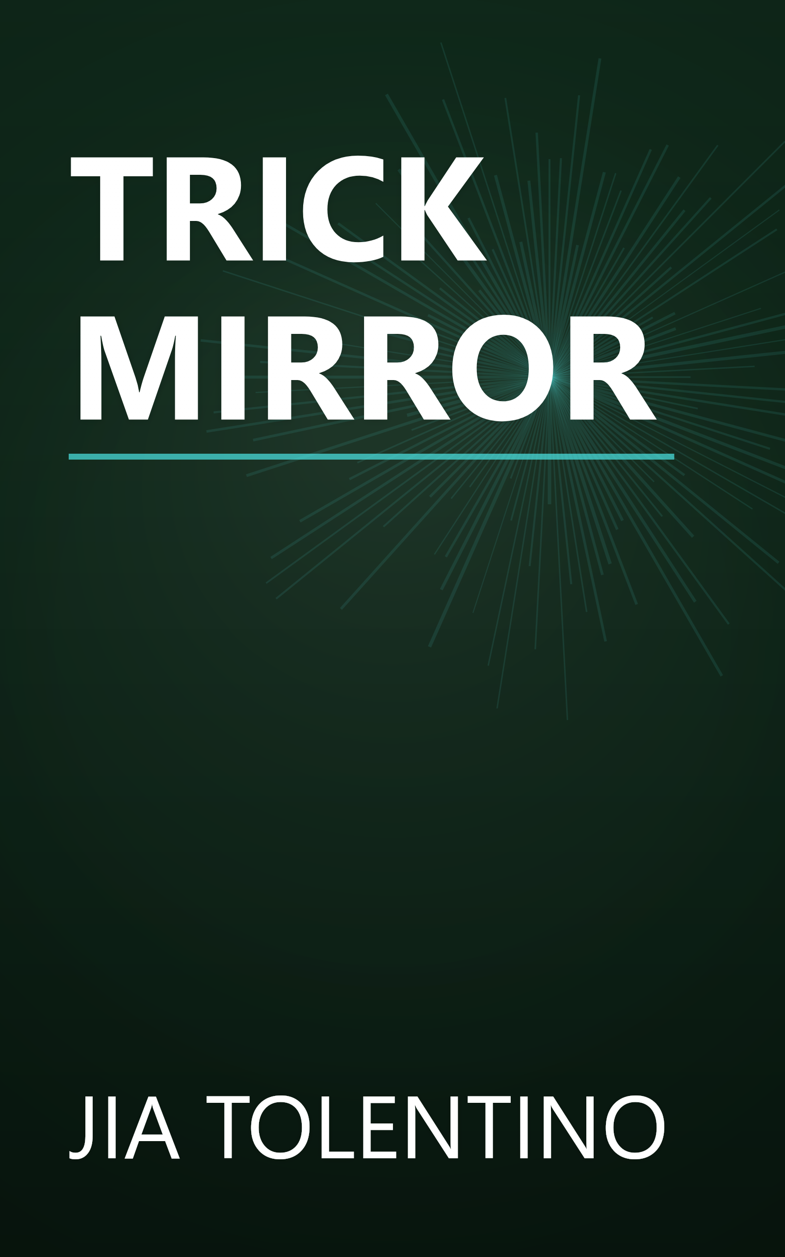 TRICK MIRROR book cover