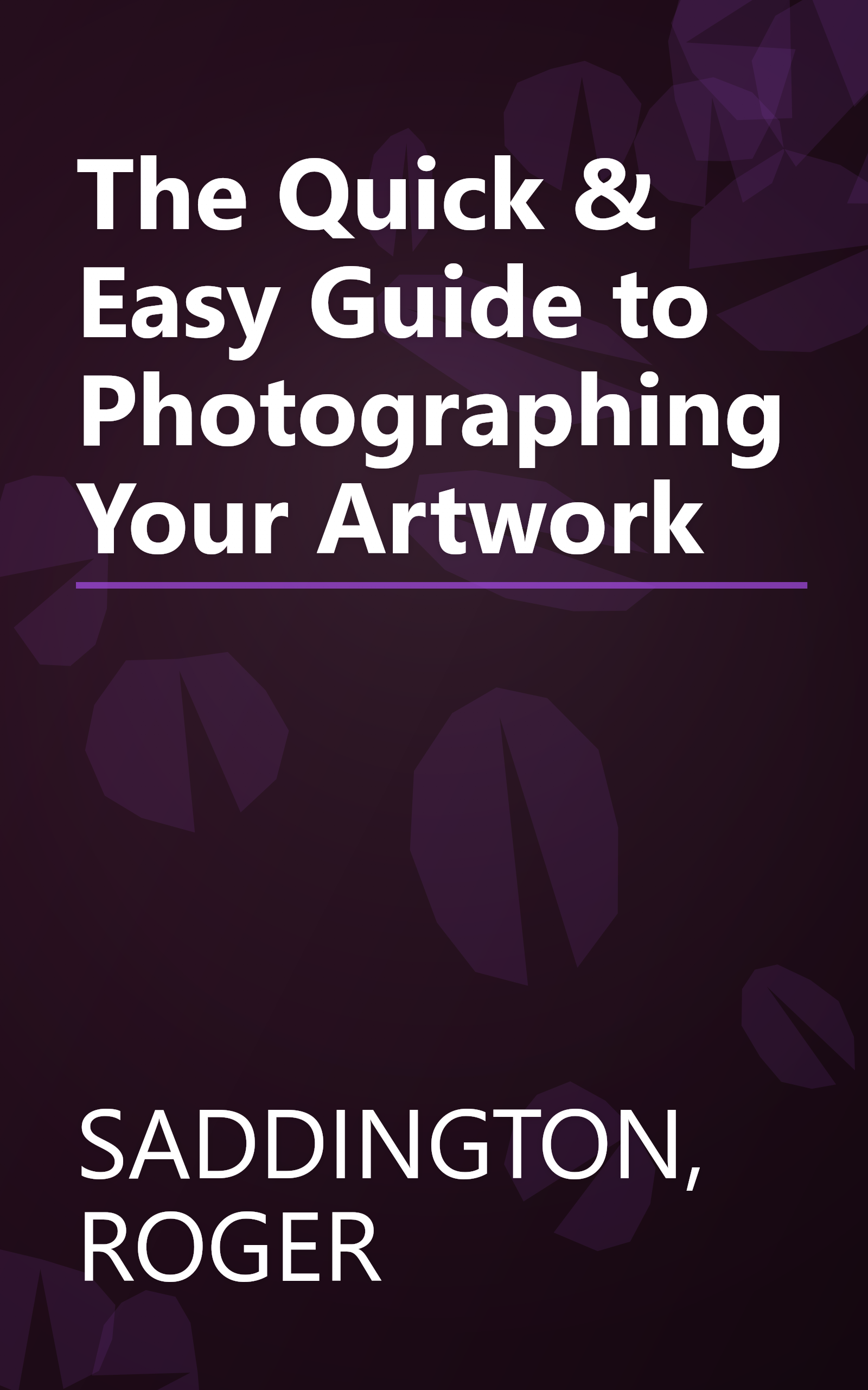 The Quick & Easy Guide to Photographing Your Artwork book cover
