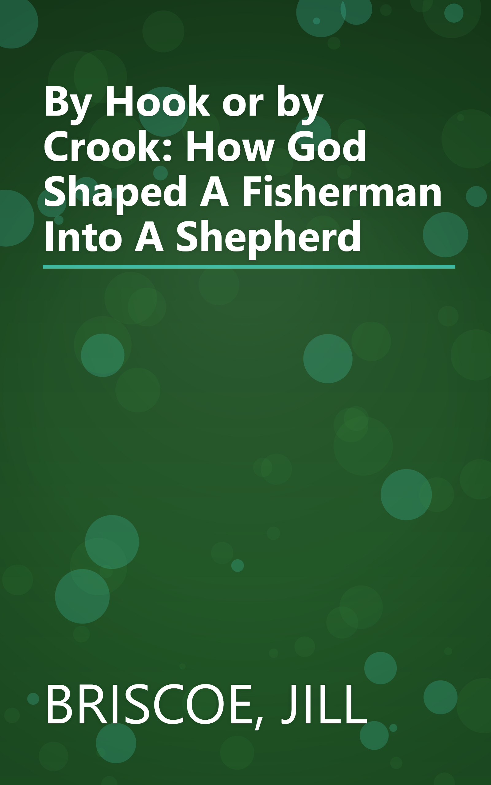 By Hook or by Crook: How God Shaped A Fisherman Into A Shepherd book cover
