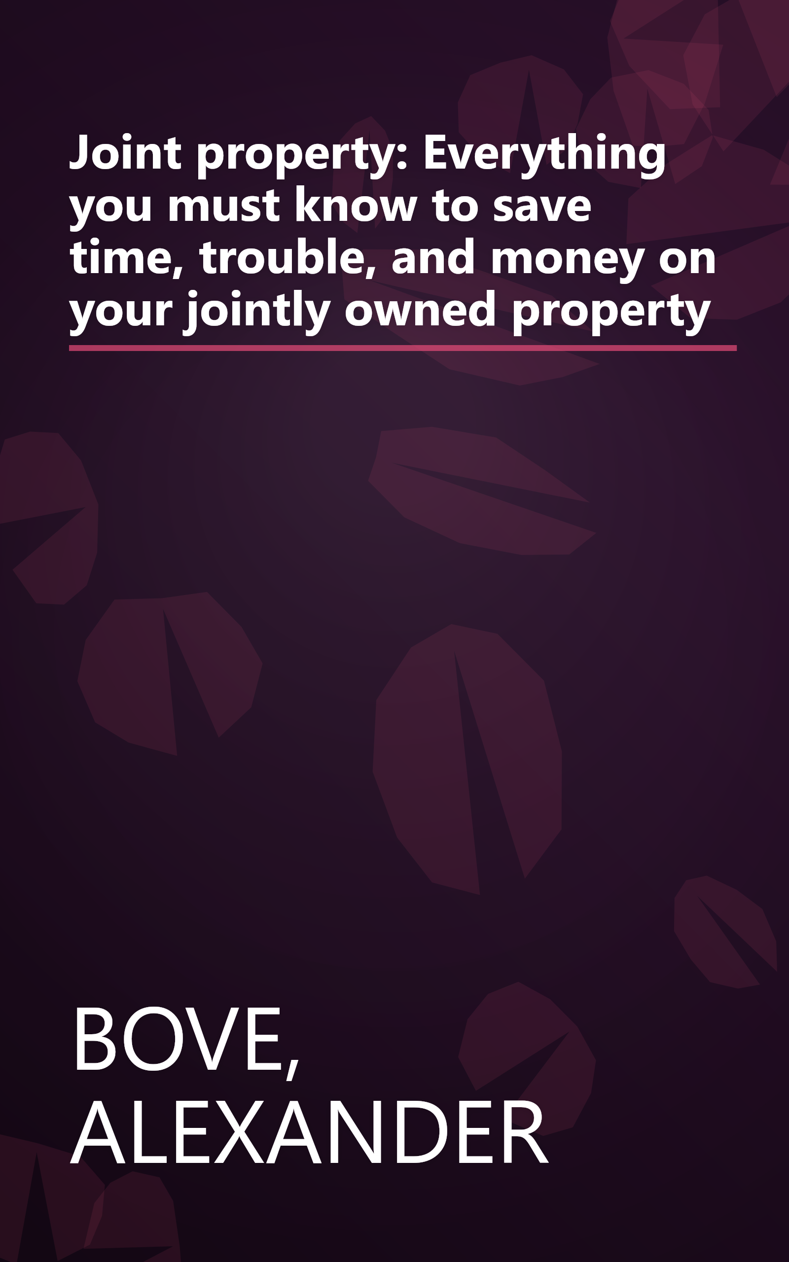 Joint property: Everything you must know to save time, trouble, and money on your jointly owned property book cover