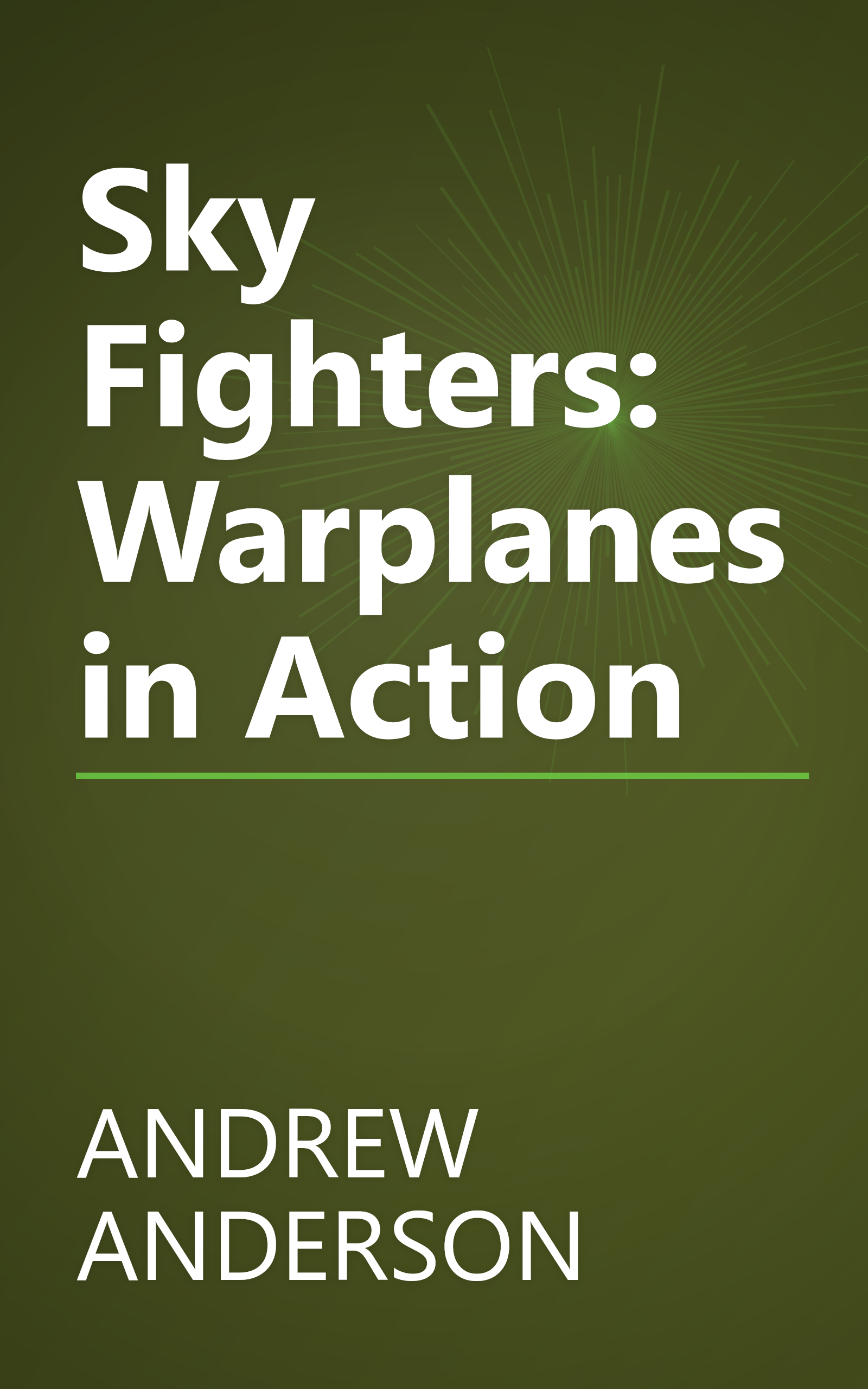 Sky Fighters: Warplanes in Action book cover
