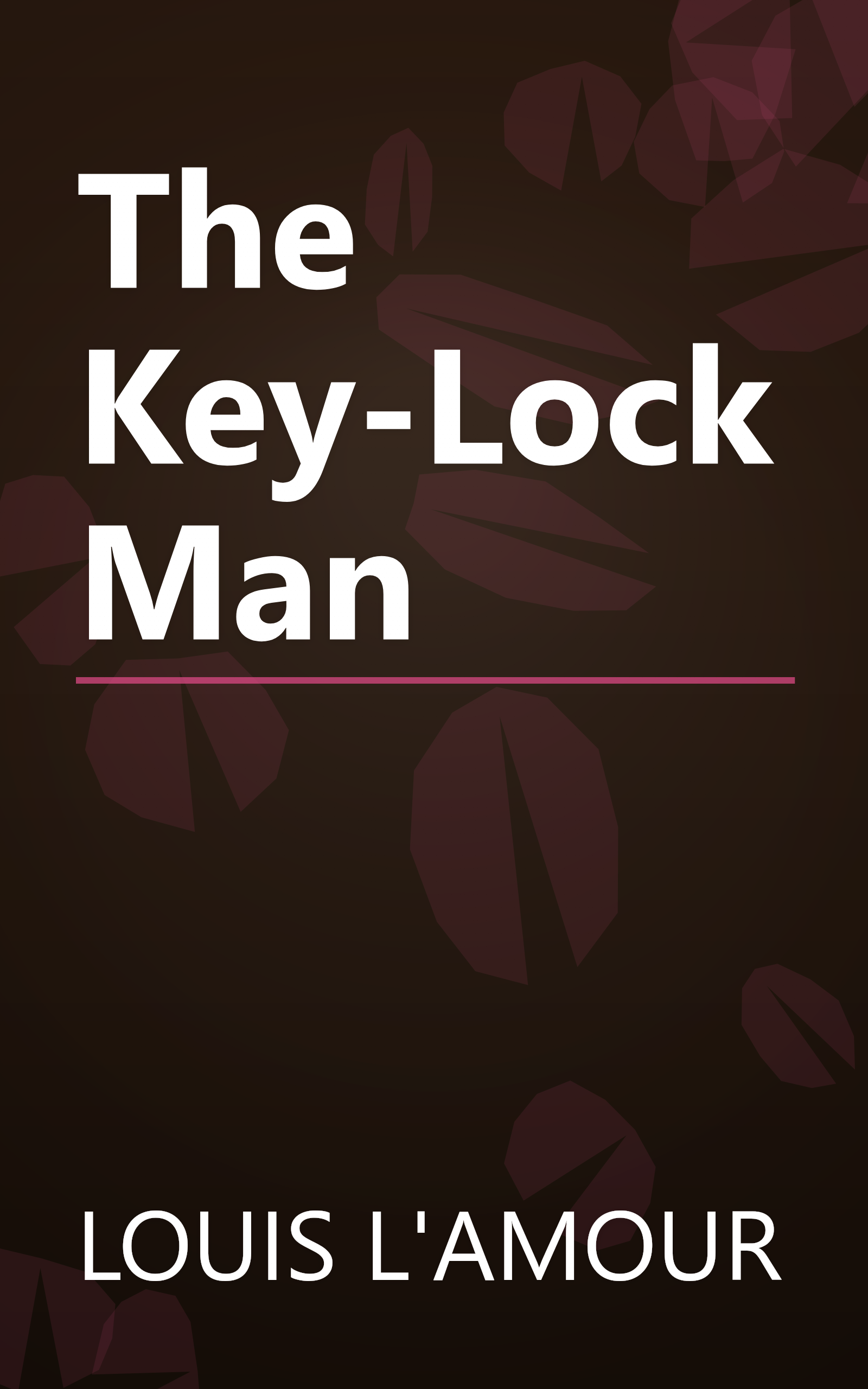 The Key-Lock Man book cover