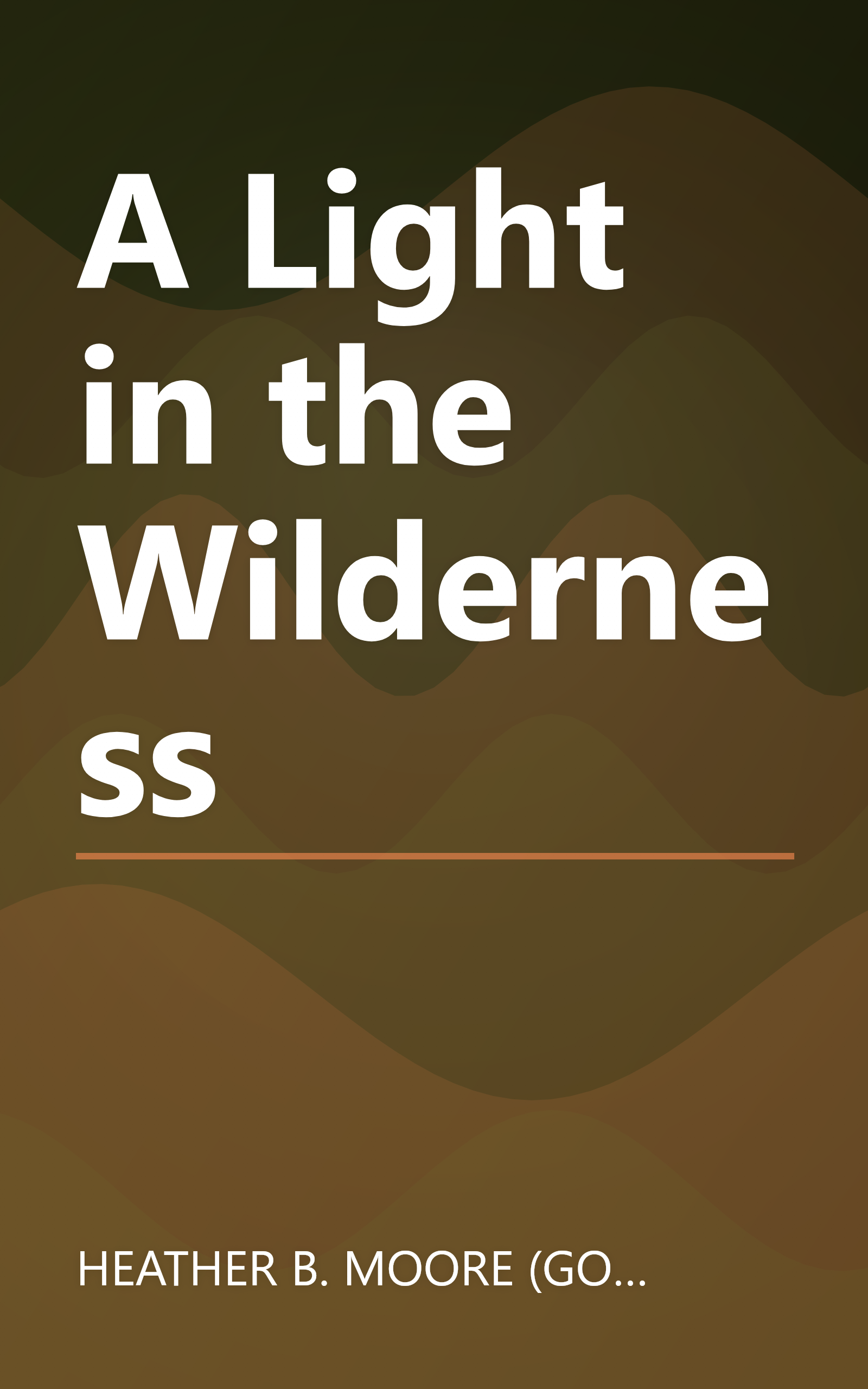A Light in the Wilderness book cover