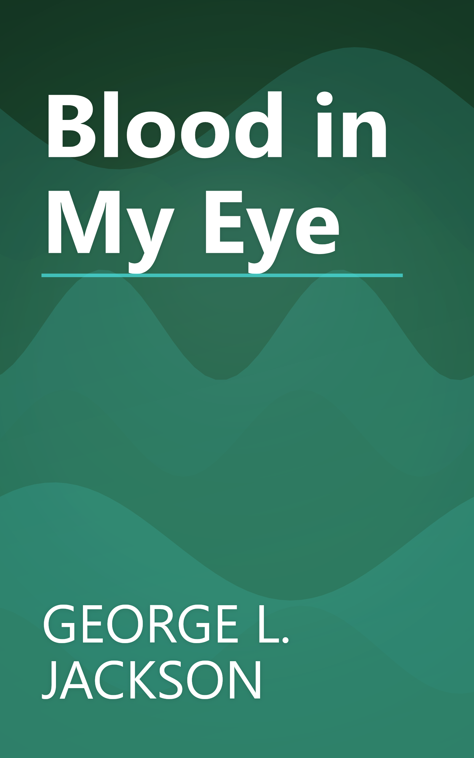 Blood in My Eye book cover