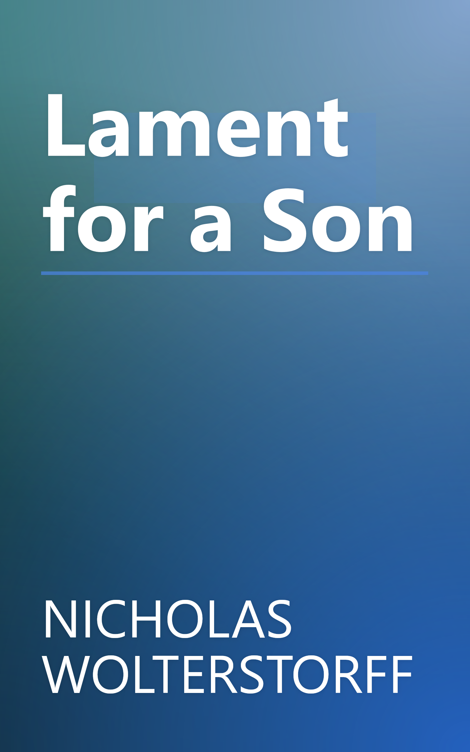 Lament for a Son book cover