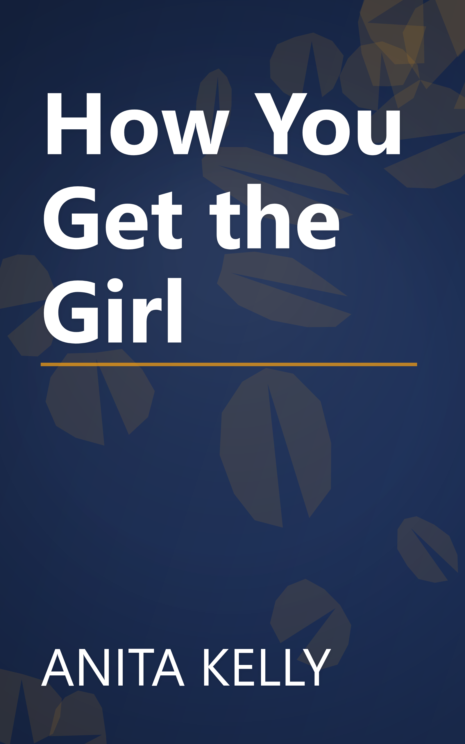 How You Get the Girl book cover