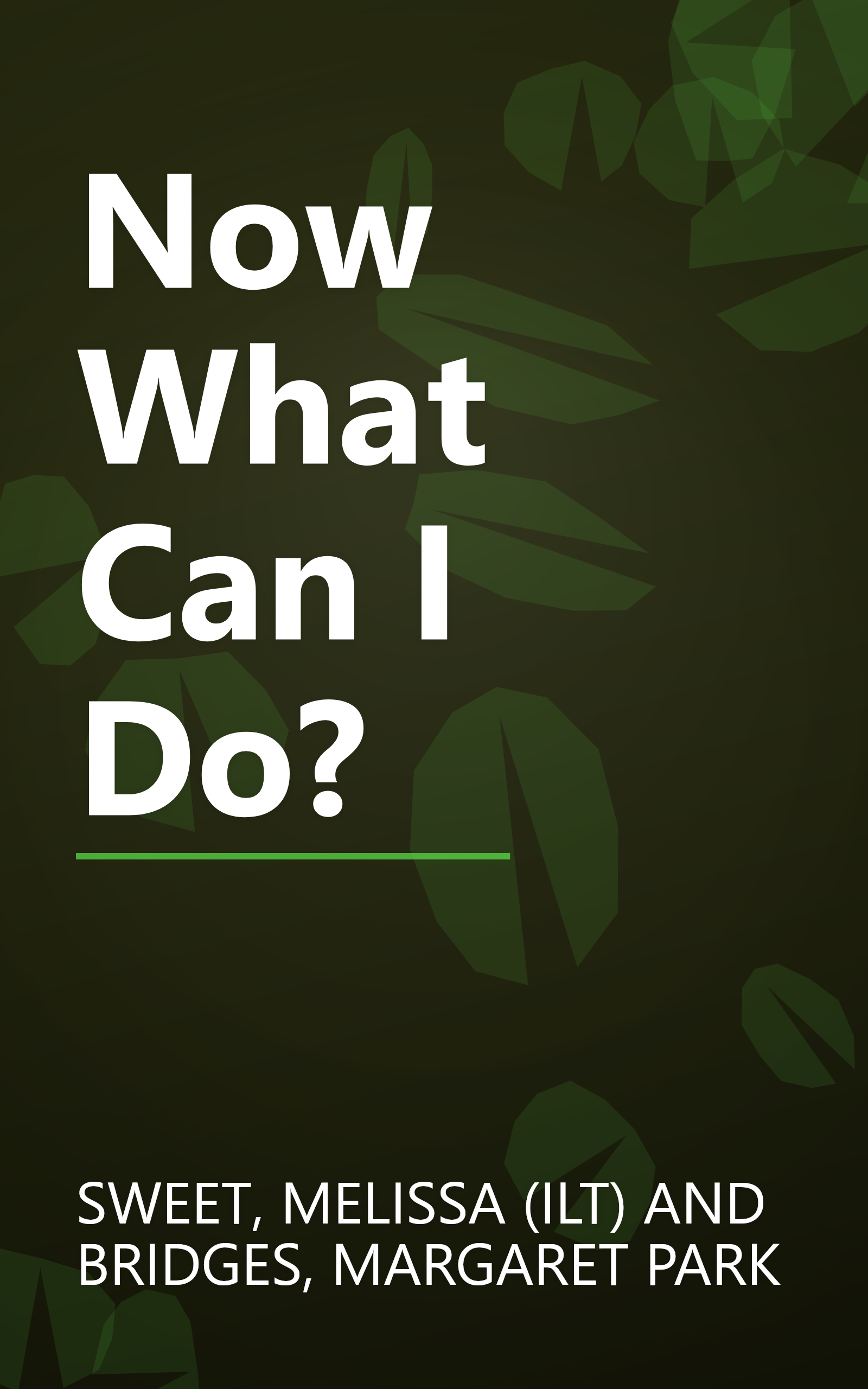 Now What Can I Do? book cover