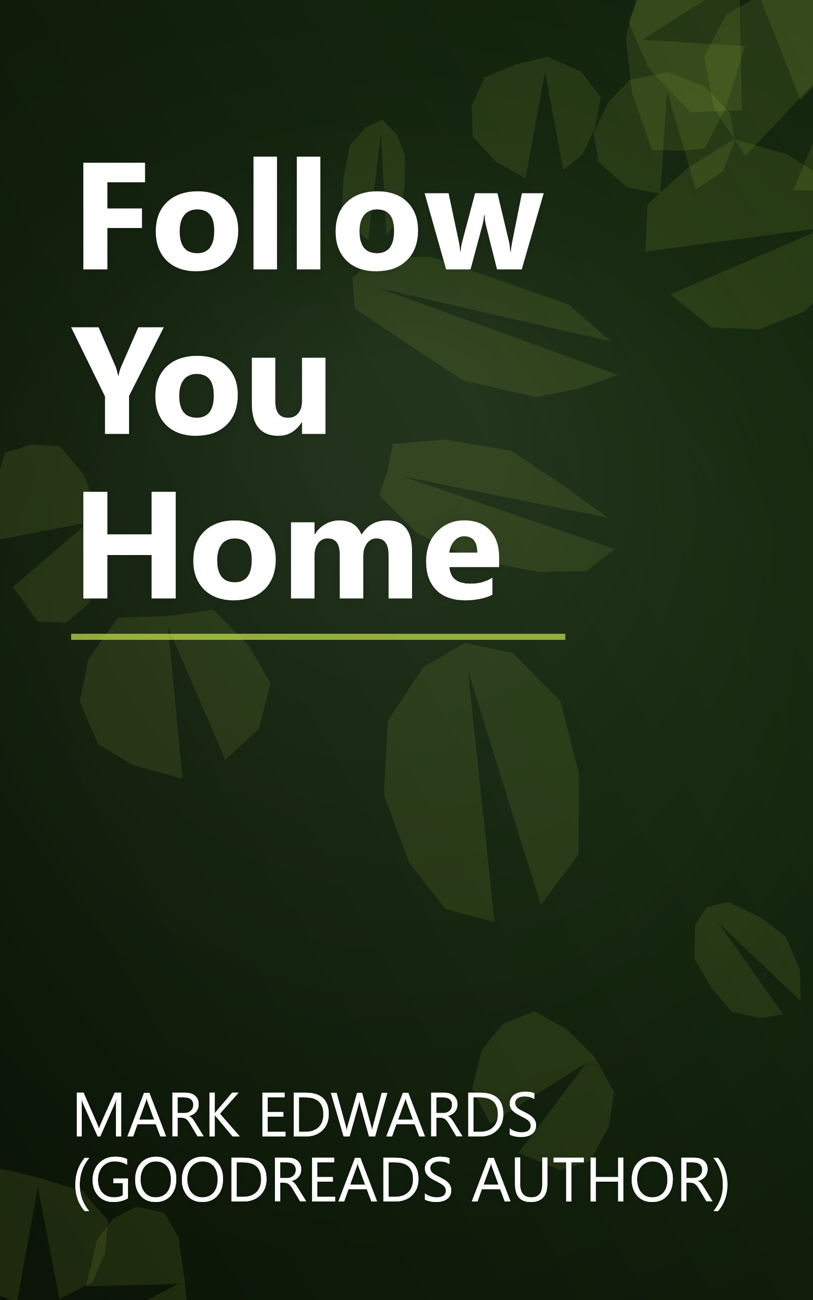 Follow You Home book cover